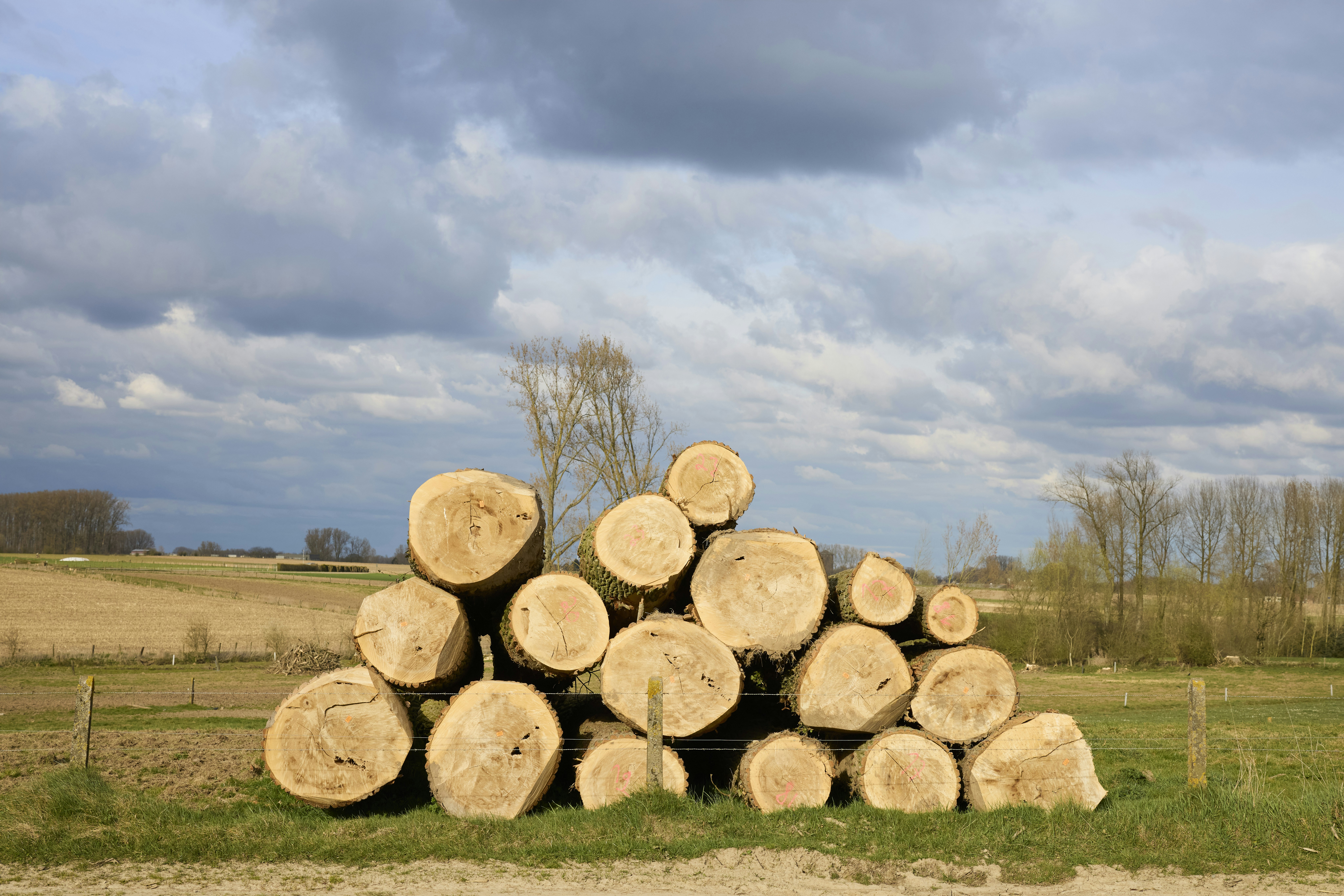 Stacked Log Geometry on a Sunlit Field