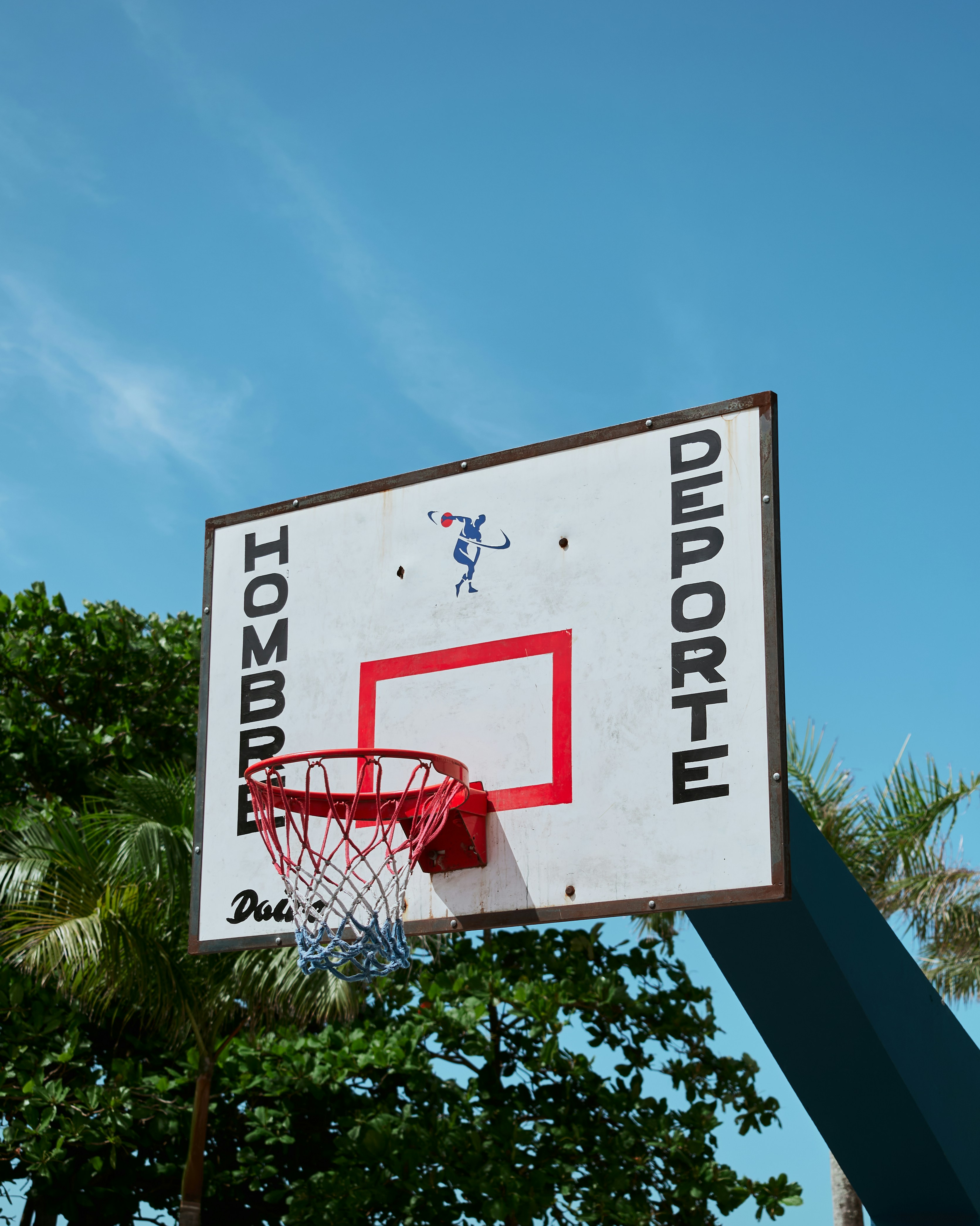 Basketball Hoop Under a Bright Sky at a Tropical Park