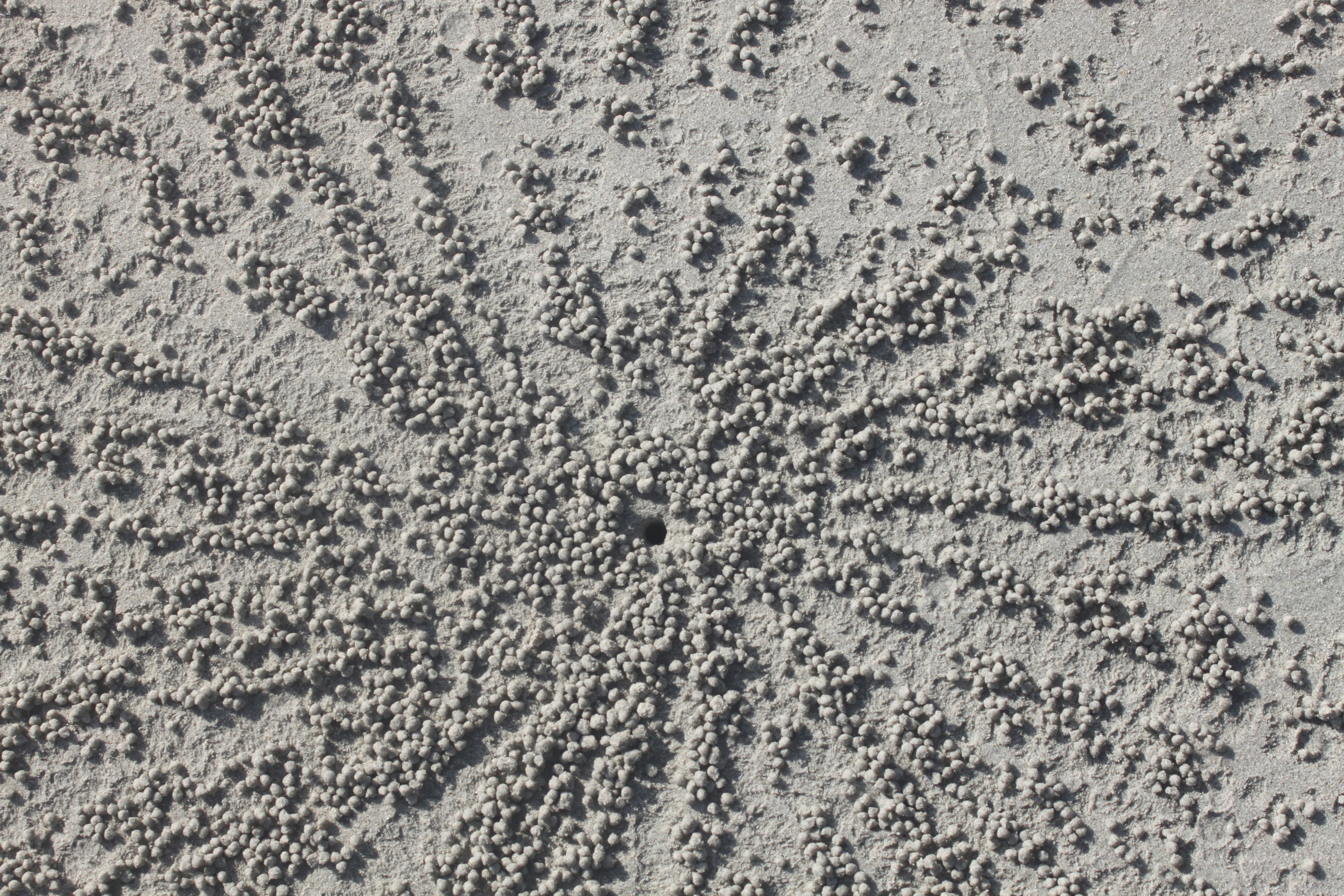 Close-up of a radial pattern of small sand pellets forming a starburst on a flat beach surface. The texture highlights repeated micro-pearl clusters and a central void, suggesting deliberate raking or natural tide patterns.