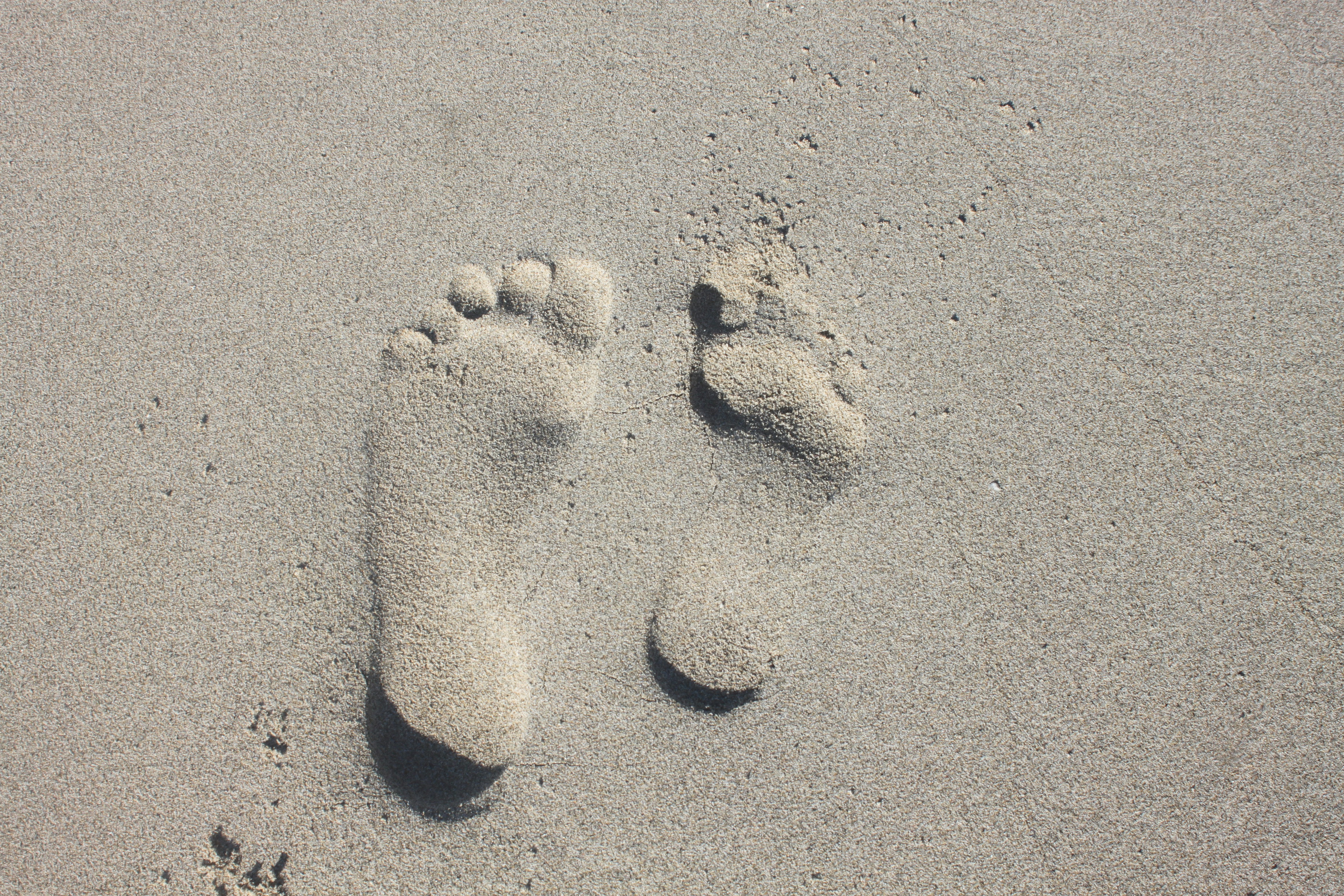 Footprints in sunlit beach sand