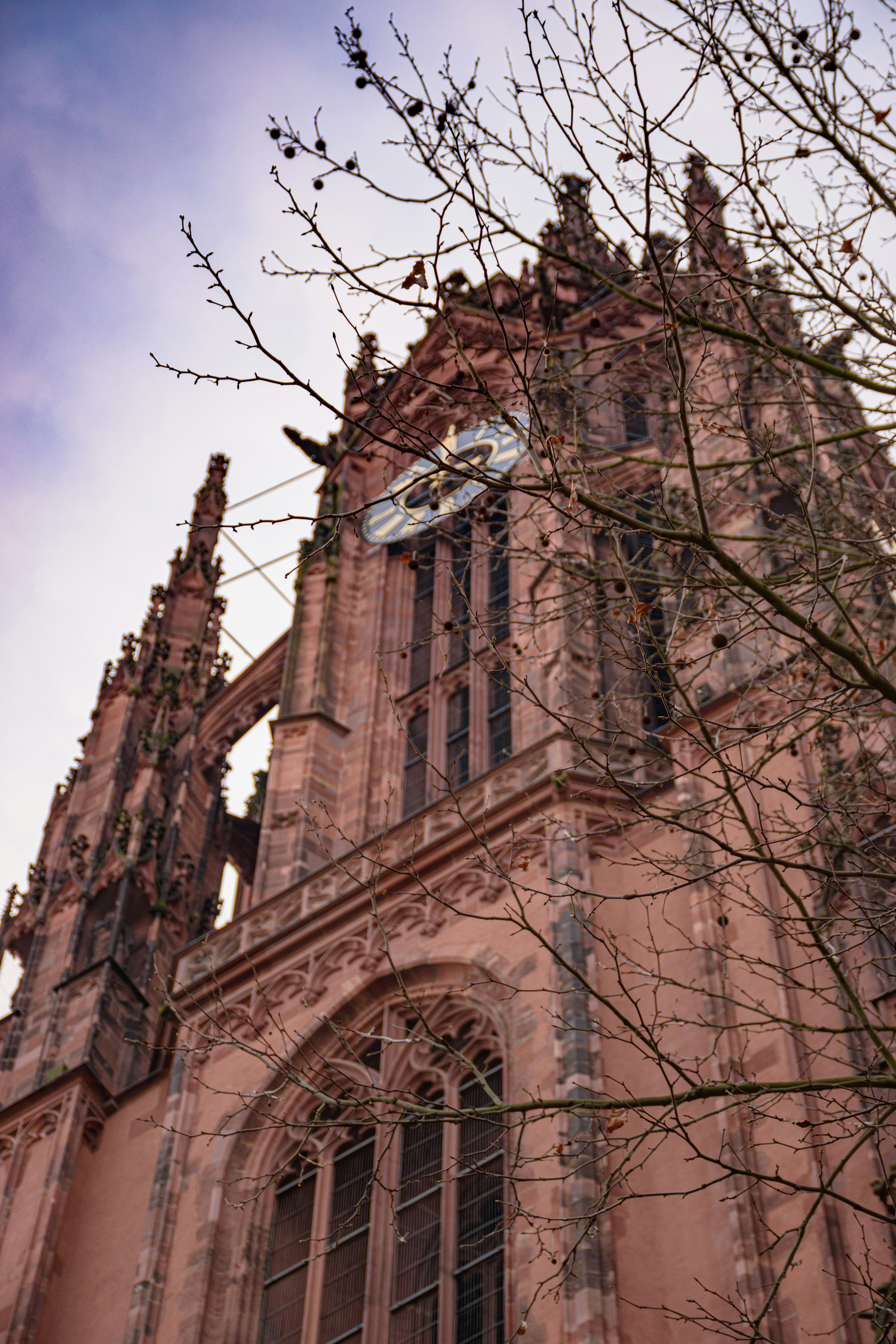 Gothic Facade Veiled by Winter Branches