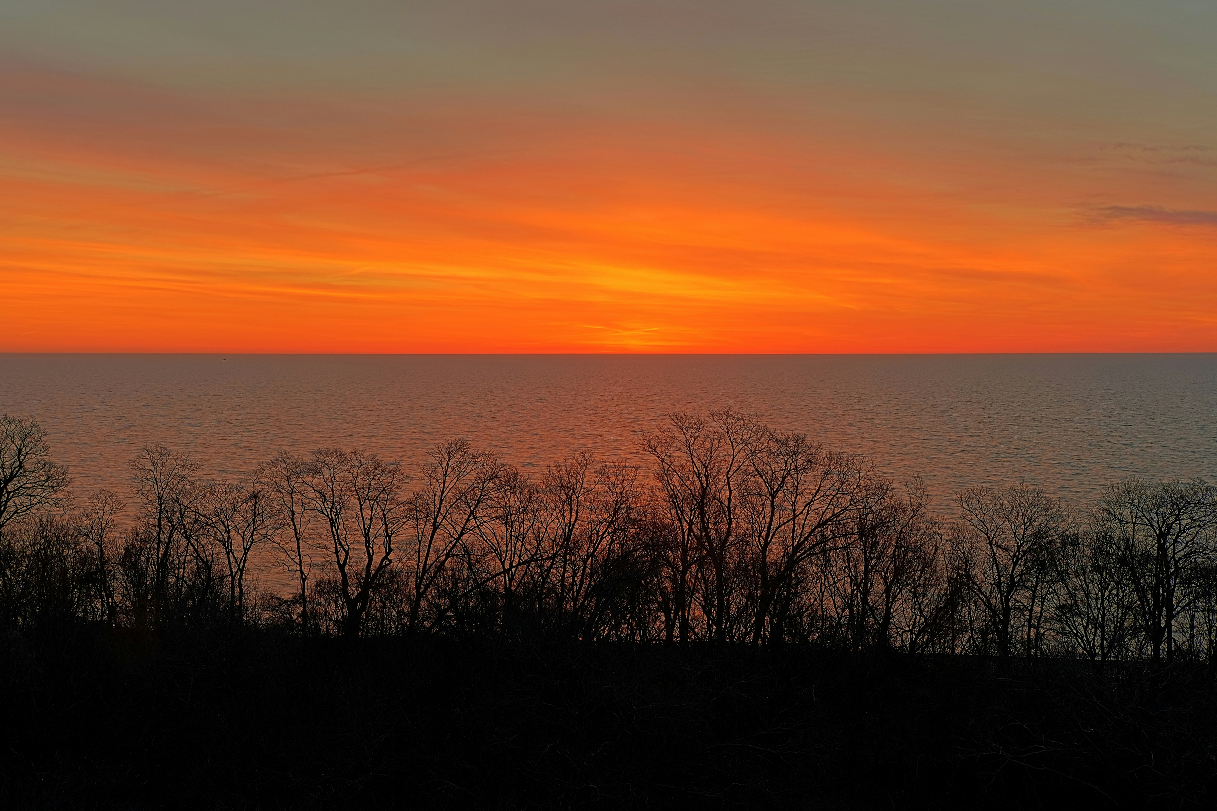 Silhouette of bare trees against a radiant sunset over a calm horizon
