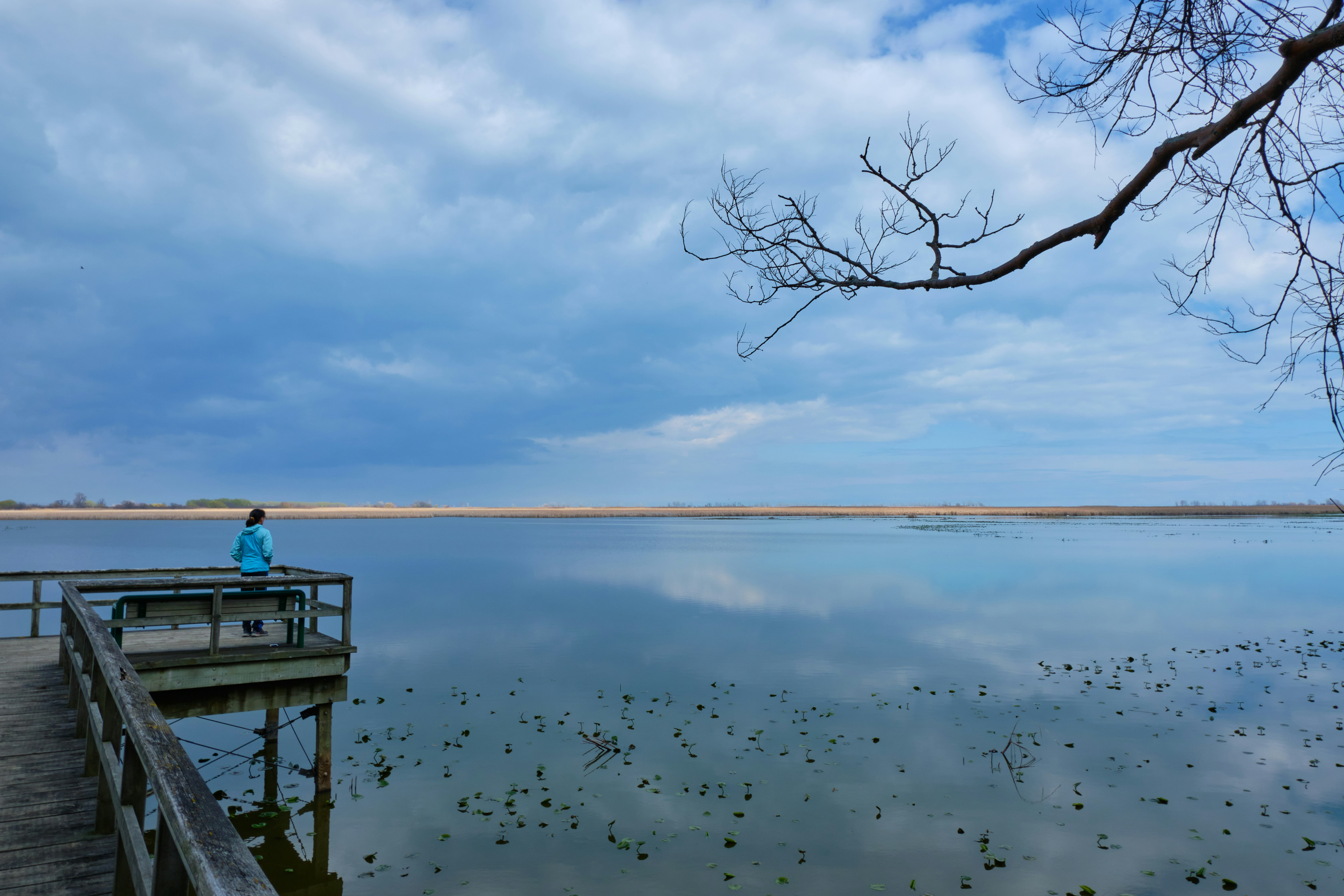 Solitary Angler at the Quiet Edge of a Glassy Lake