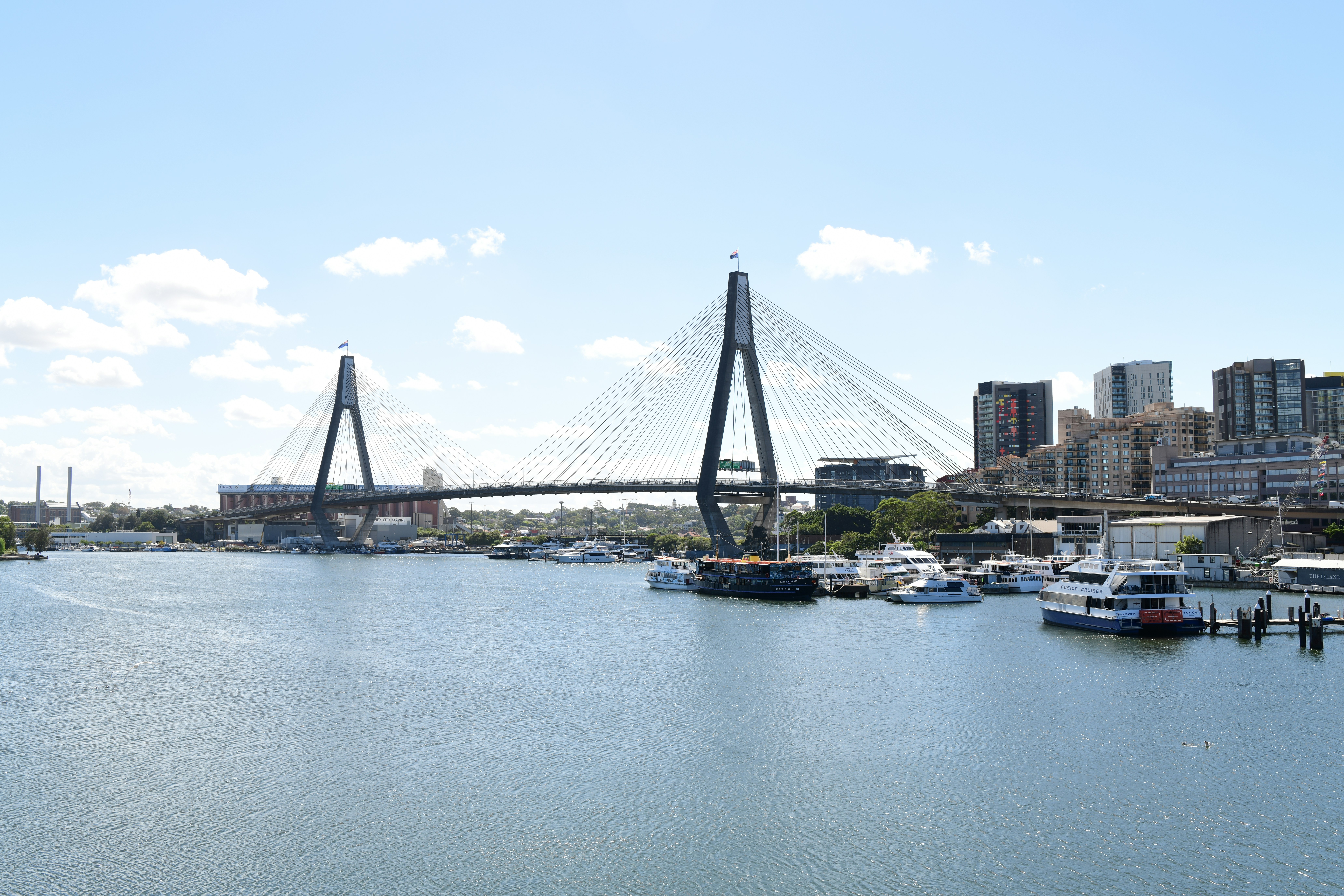 Riverfront Bridge Portrait: A Cityscape Canyon of Steel and Water