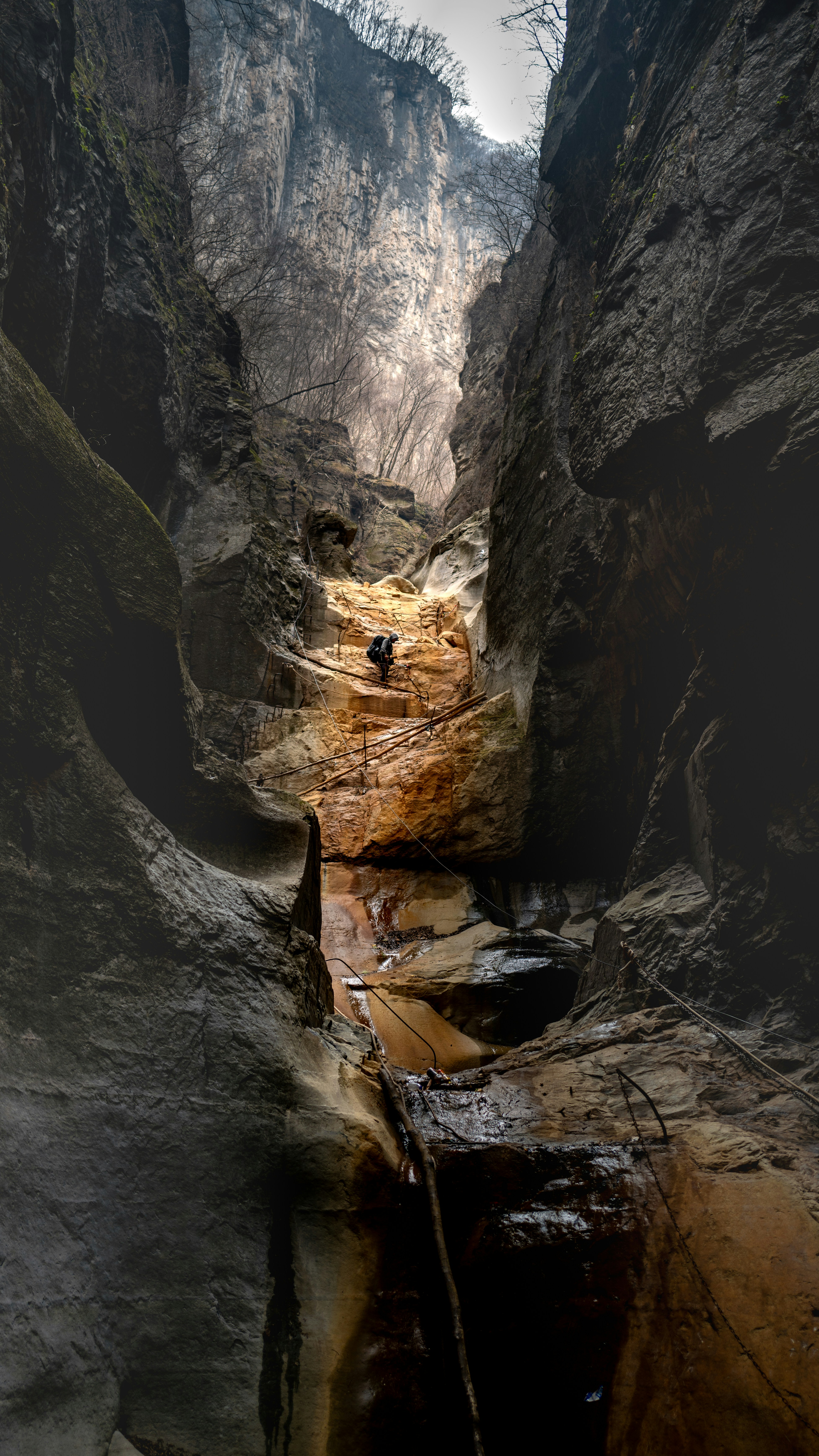 Verdant Narrow: A Climbers’ Ascent Through Sunlit Gorges