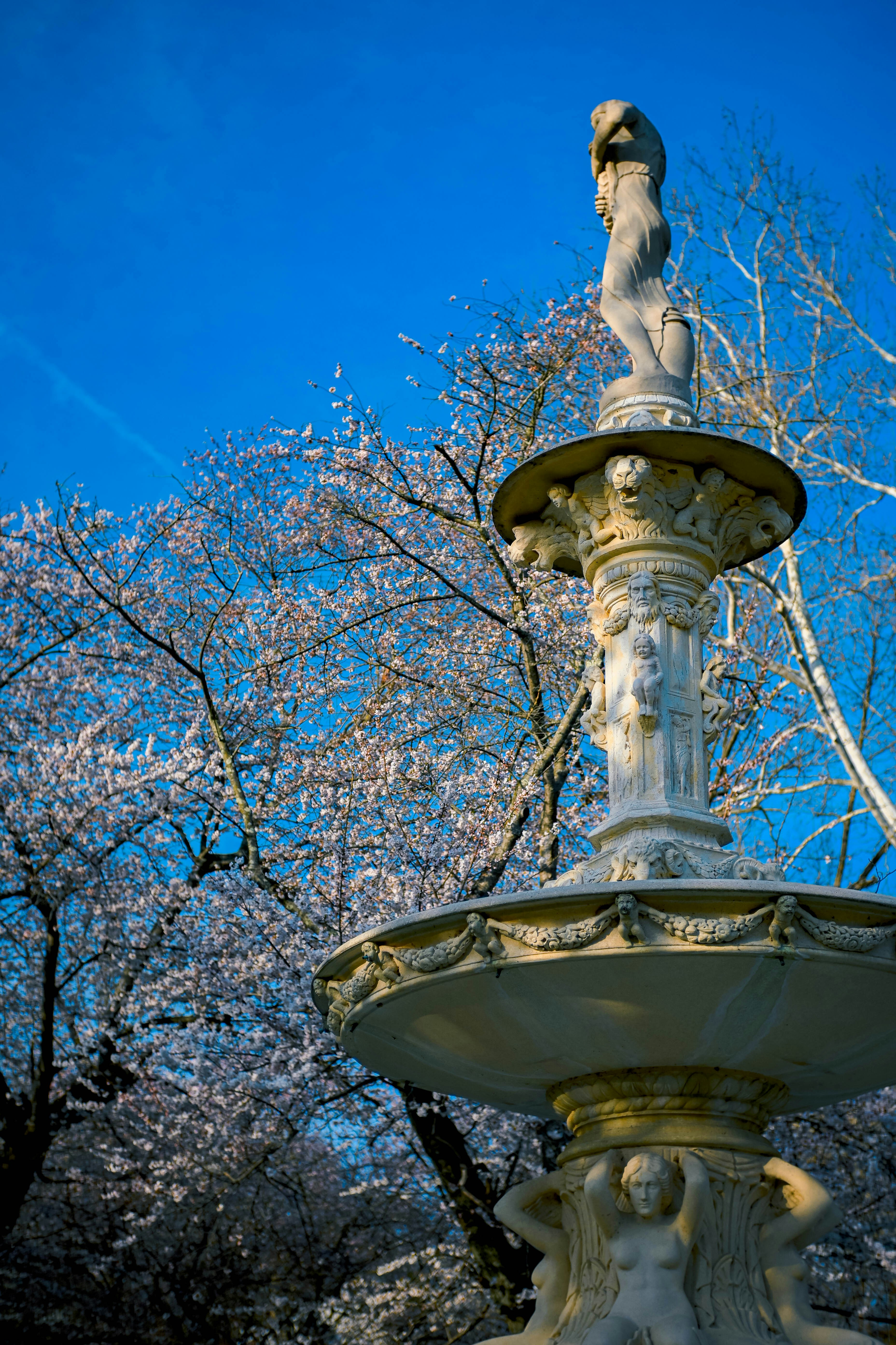 Stone Fountain Rising Above Cherry Blossoms Under a Clear Blue Sky