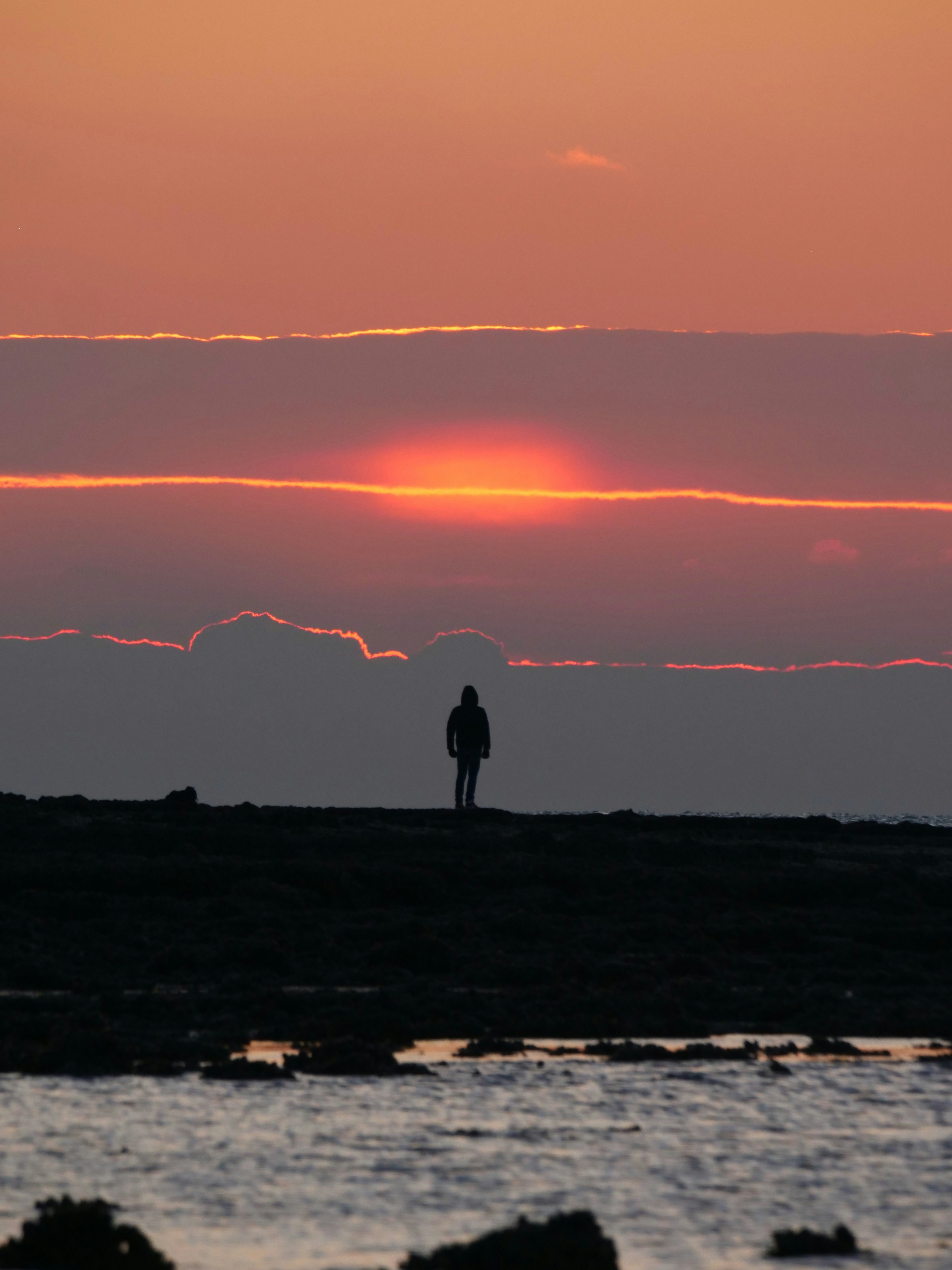 Solitary Figure on the Tidal Plain at Twilight
