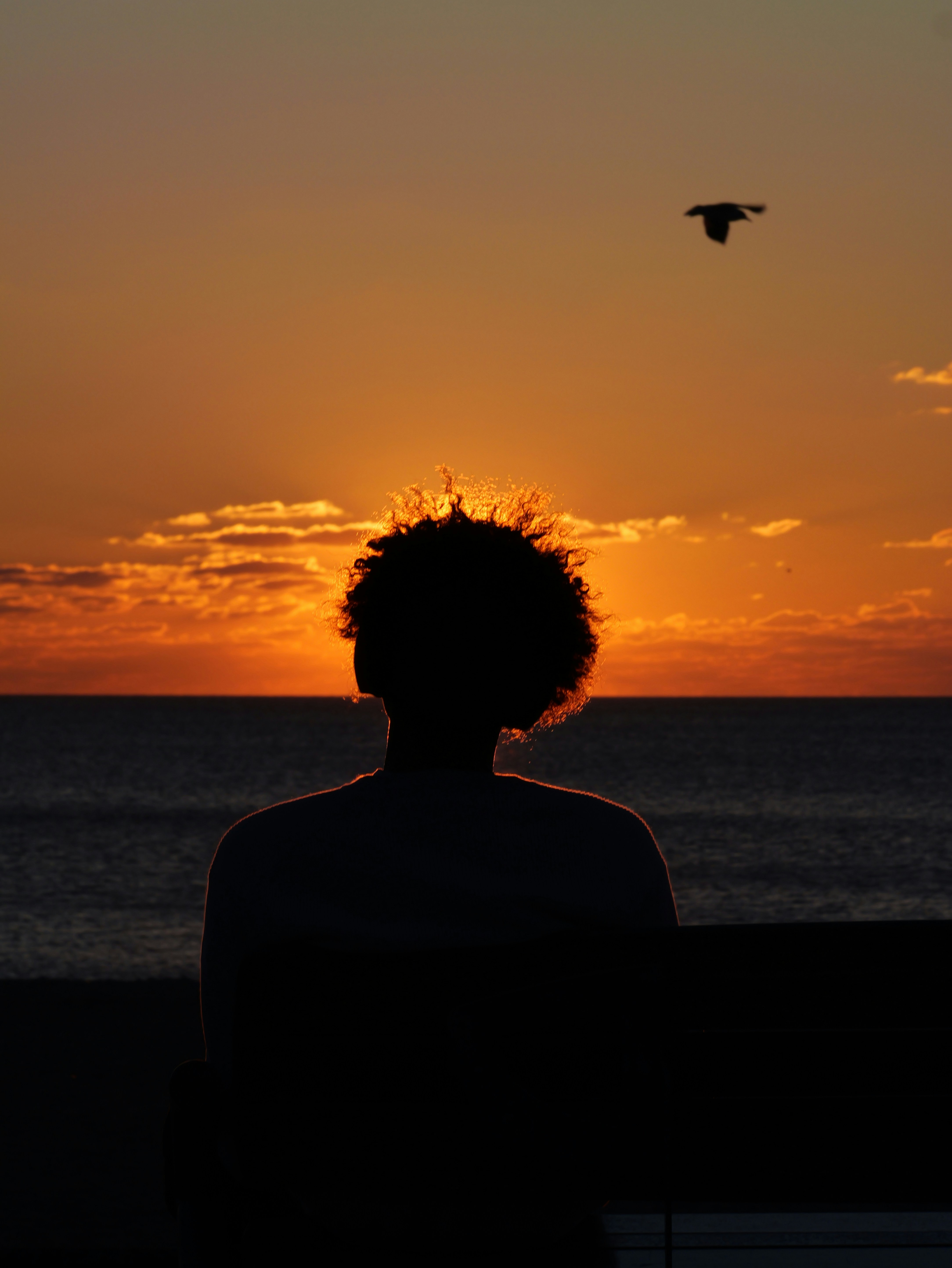 Silhouette at Sunset: A Quiet Portrait by the Horizon