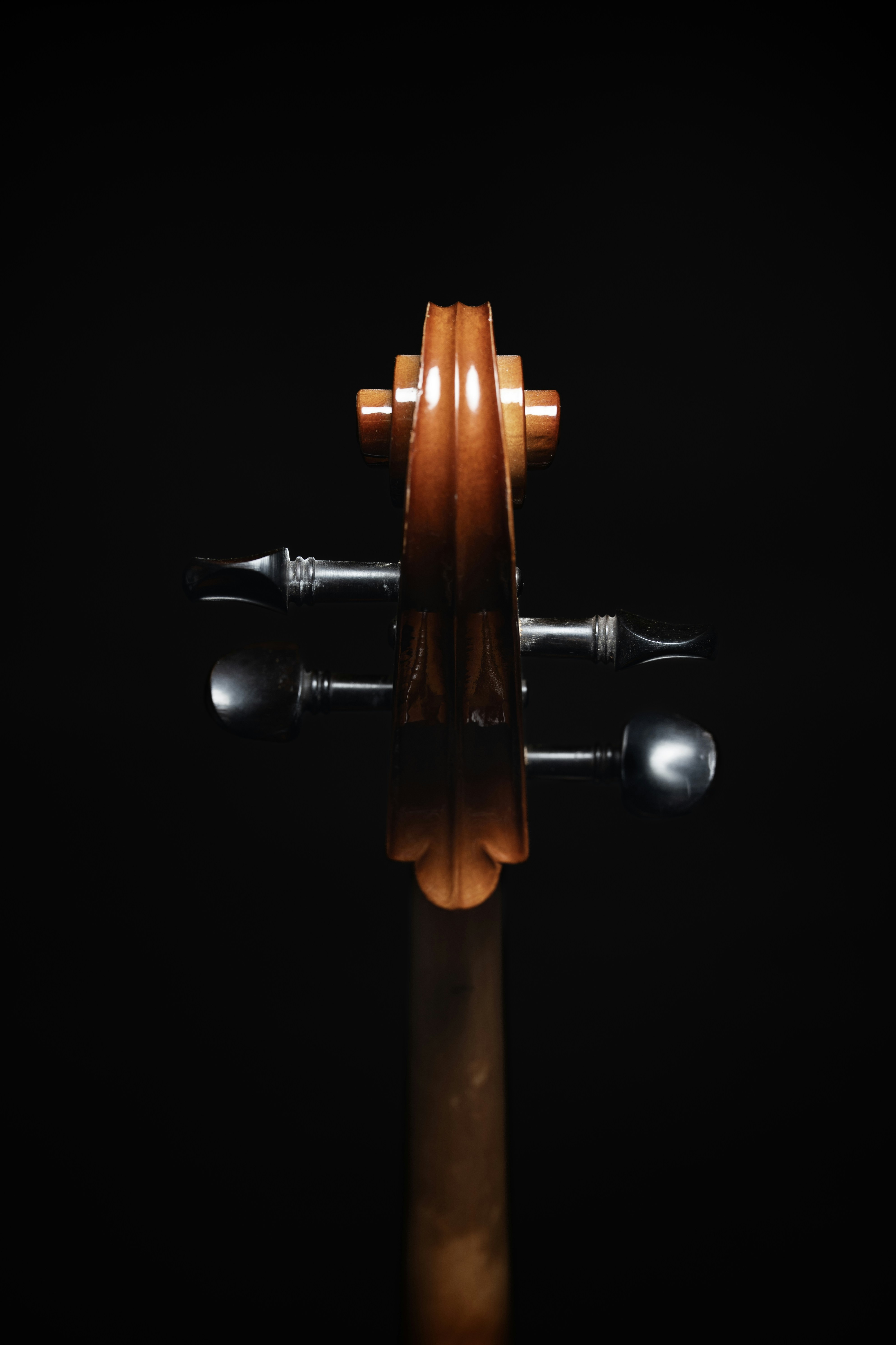 Rear View of a Violin Scroll backlit in darkness