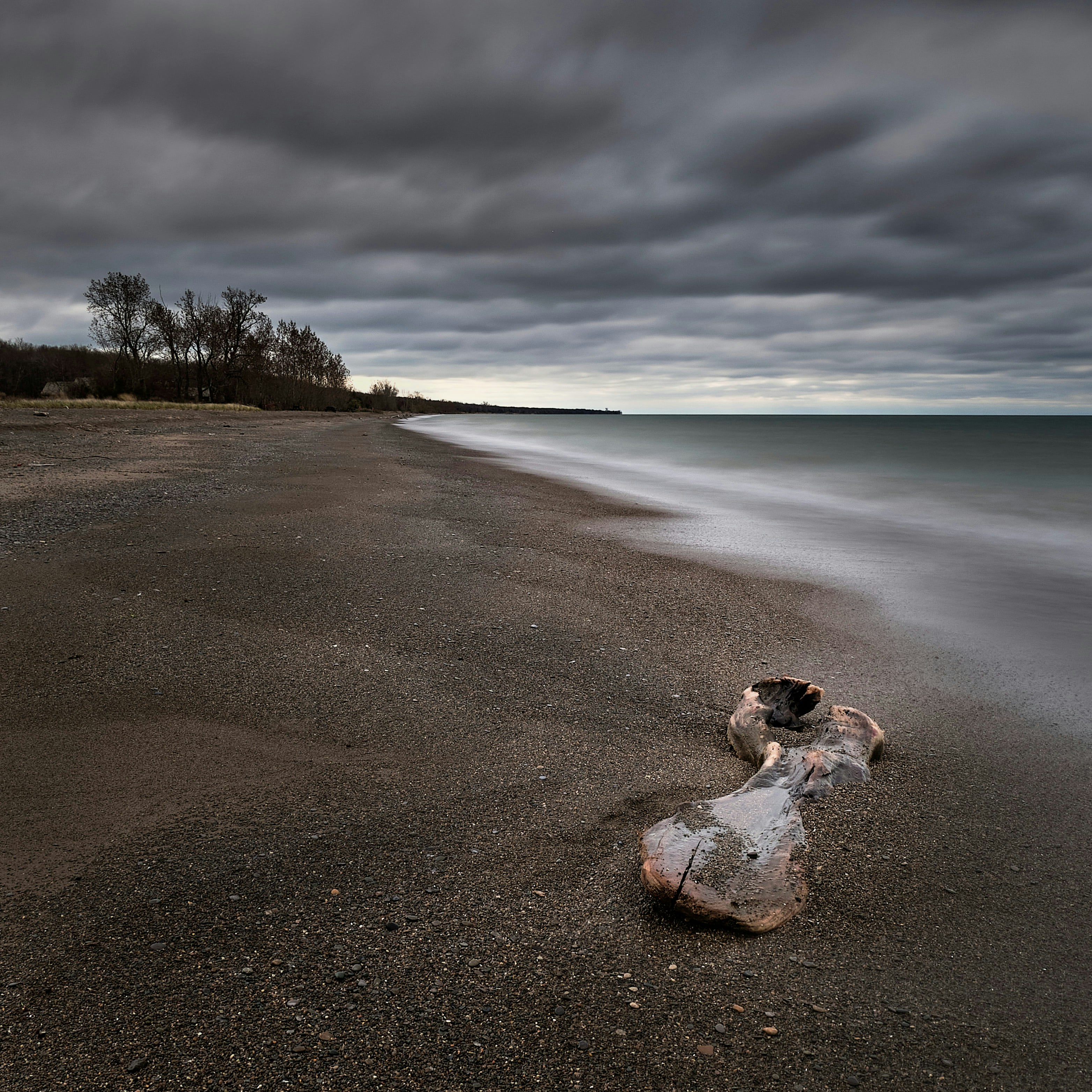 Driftwood on a Quiet Shore under Tempest Sky