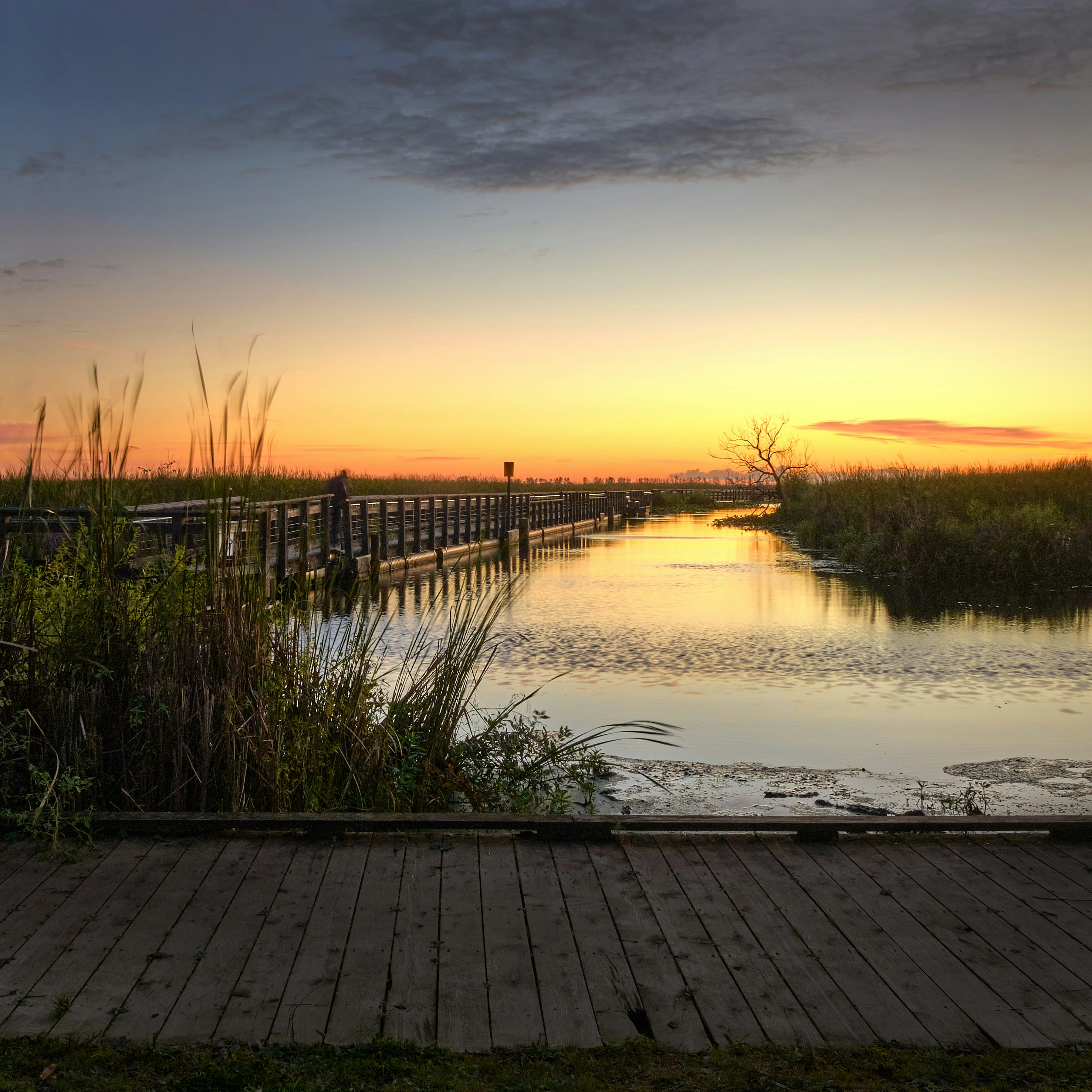 Golden Horizon Over a Wooden Boardwalk
