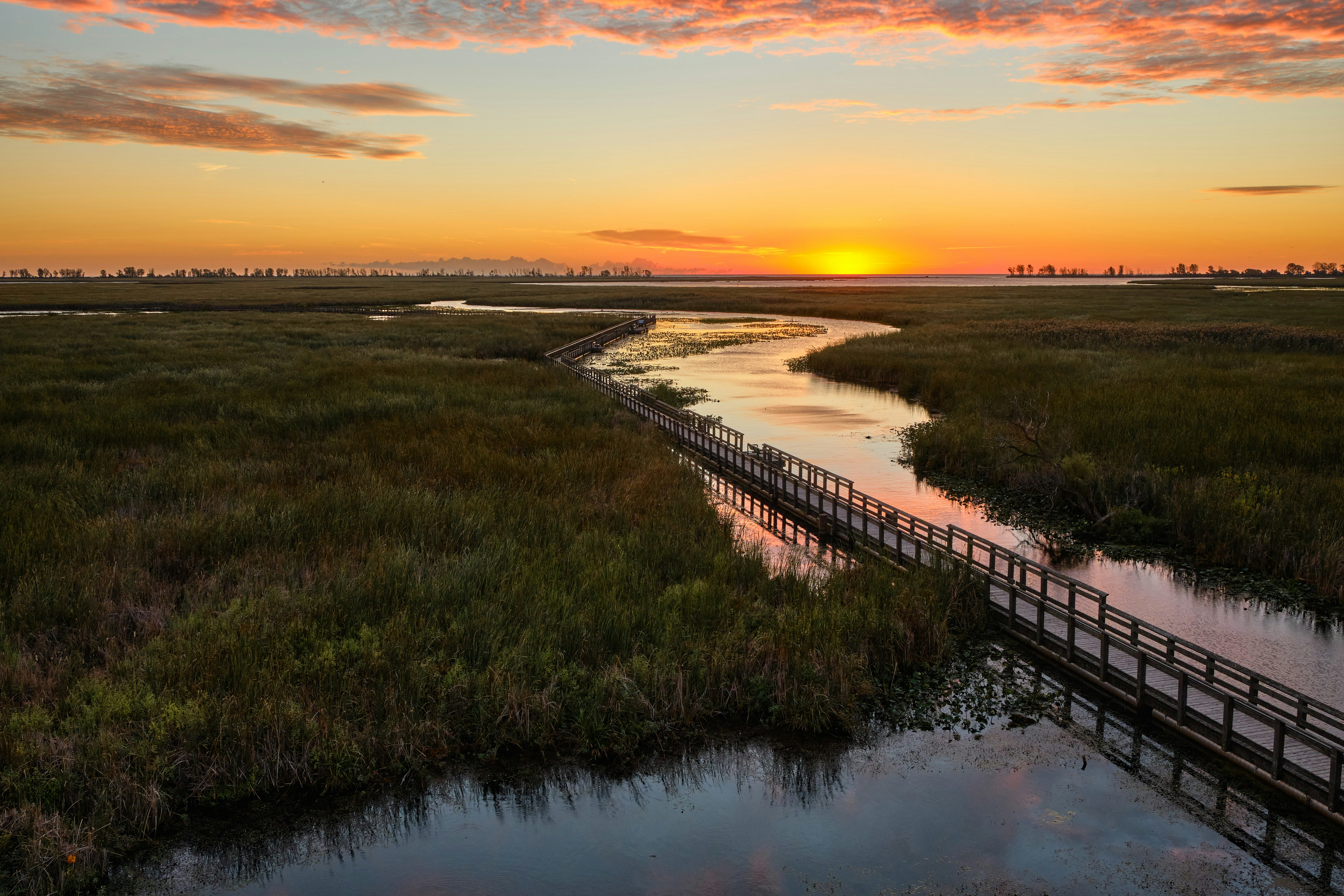 Sunset Boardwalk Over a Quiet Salt Marsh