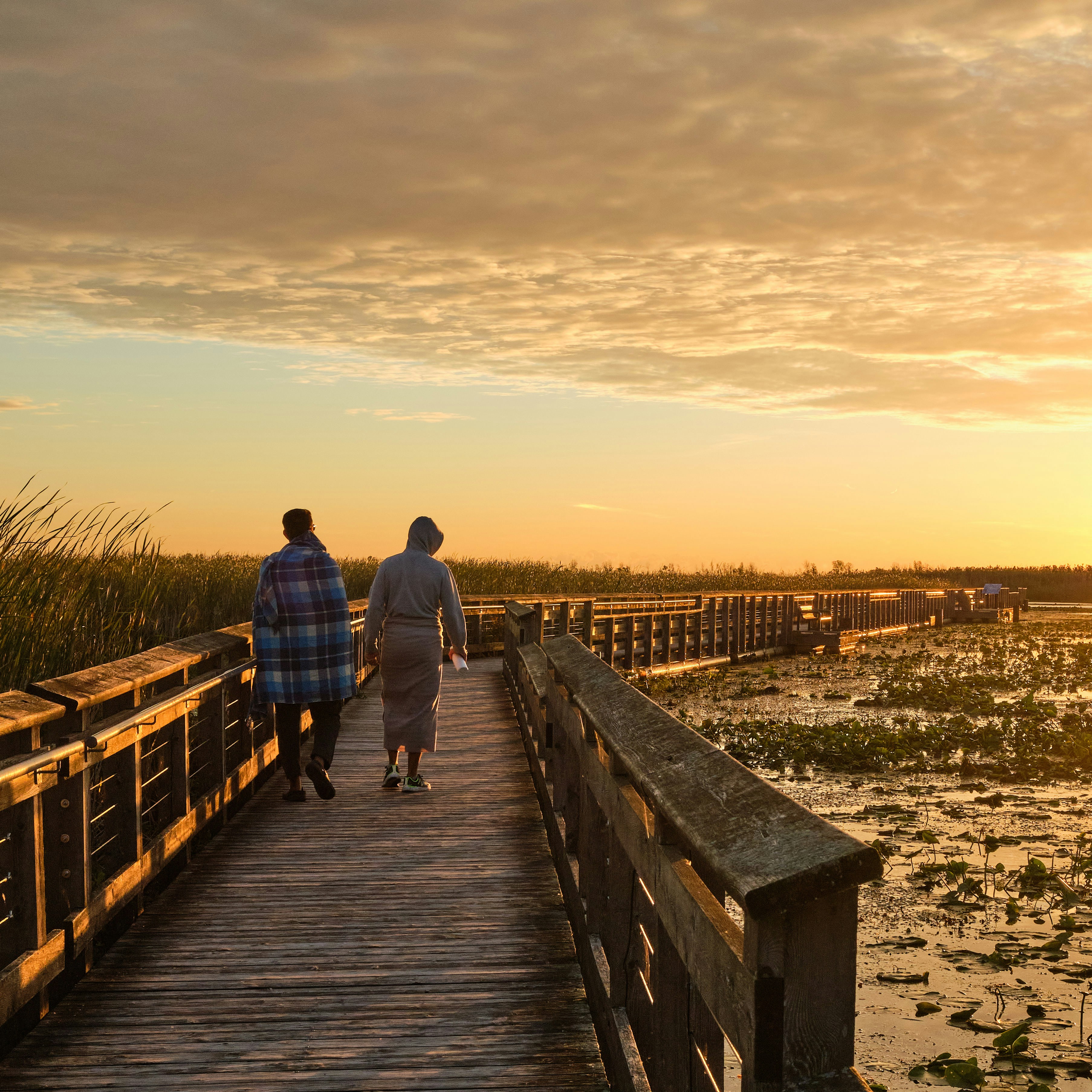 Sunset Walk Along a Quiet Boardwalk