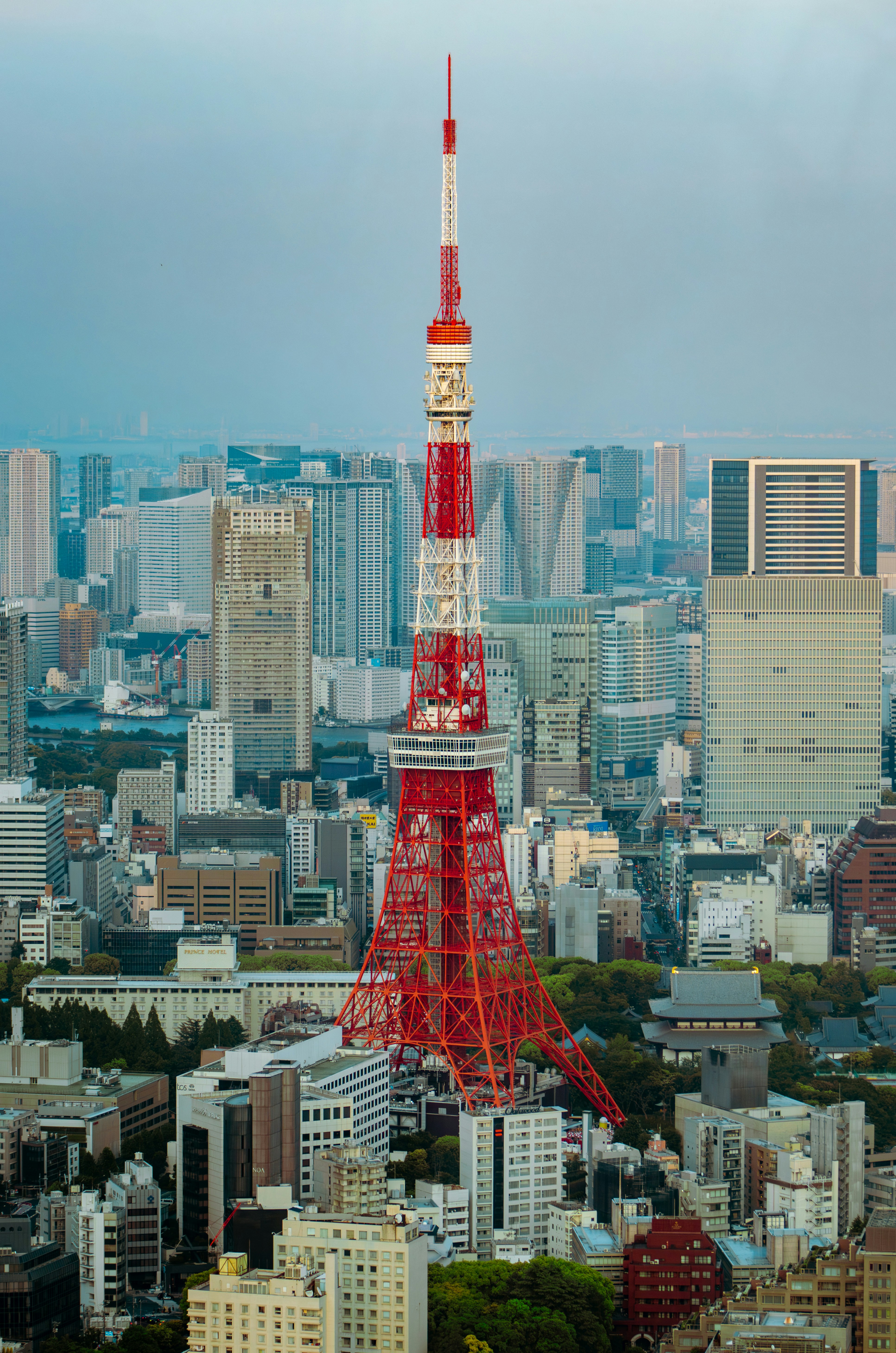Tokyo Tower Rises Above a Sea of City