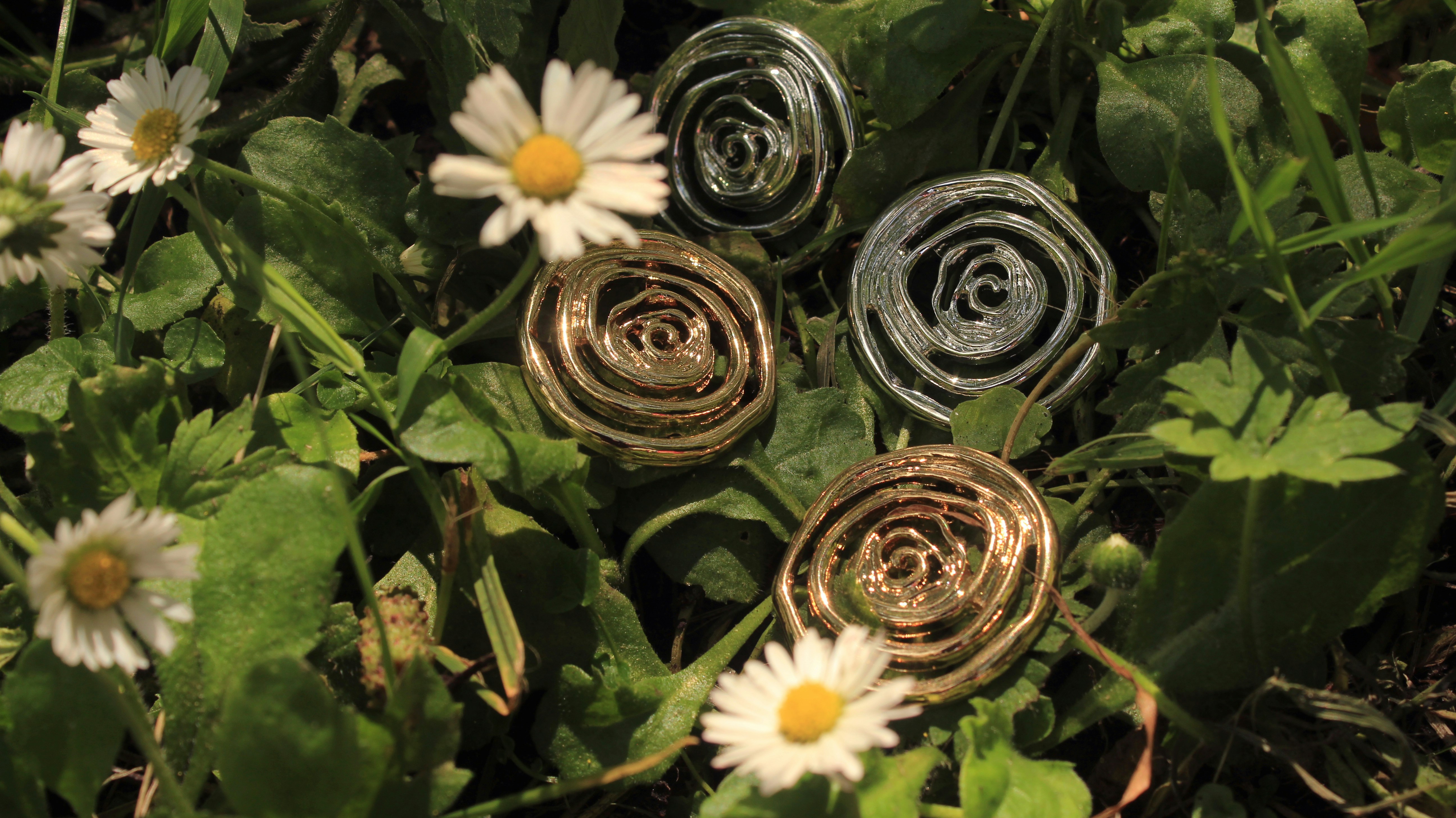 Petal Carousel: Dew-kissed Roses and Daisy Frames