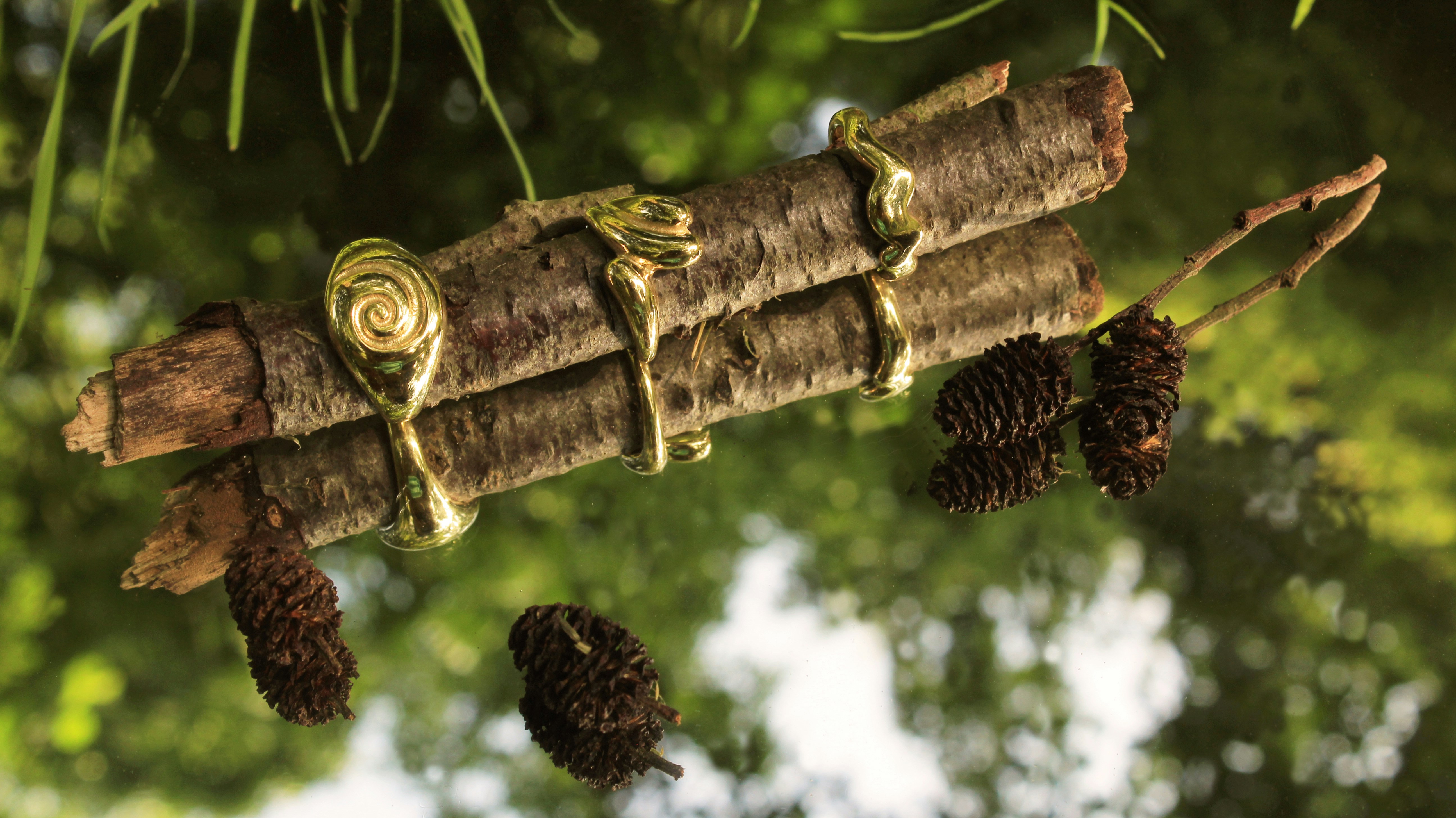 Gnarled Branch Adorned with Memory: Jewelry on Nature's Tether