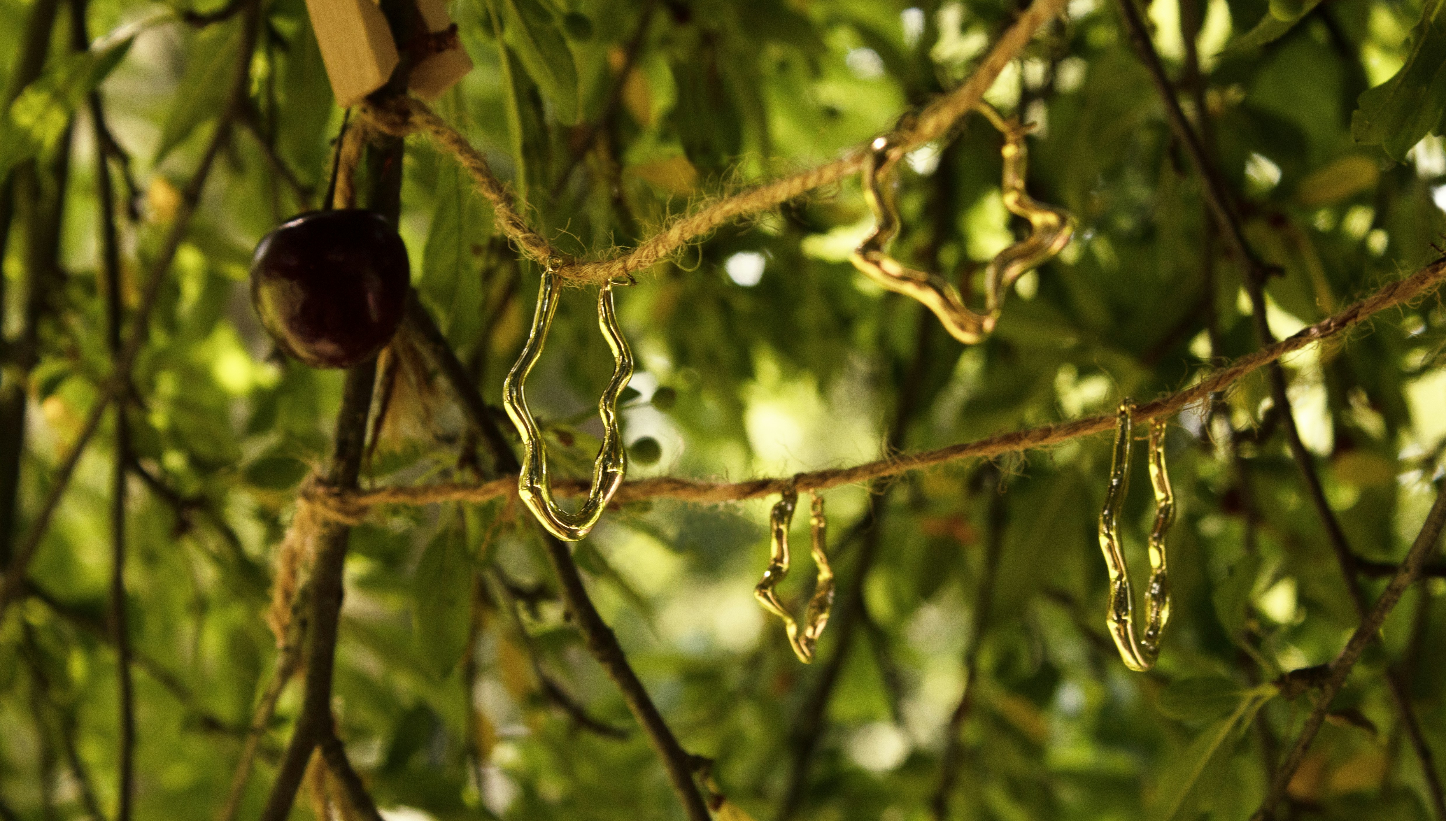 Droplets and Glistening Seeds: A Close-Up of Nature’s Veins