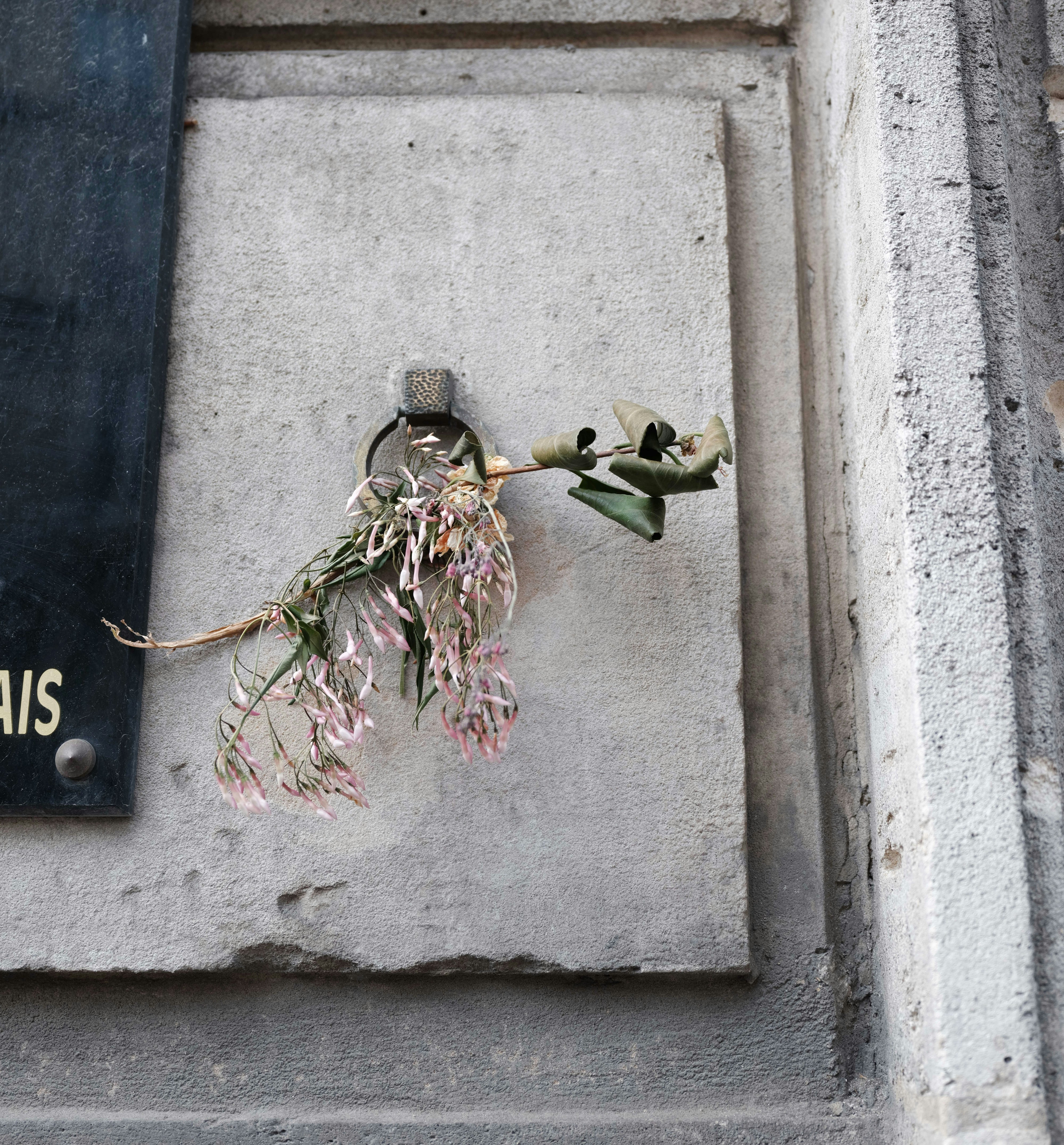 Wilted Flower Fastened to a Concrete Doorstep