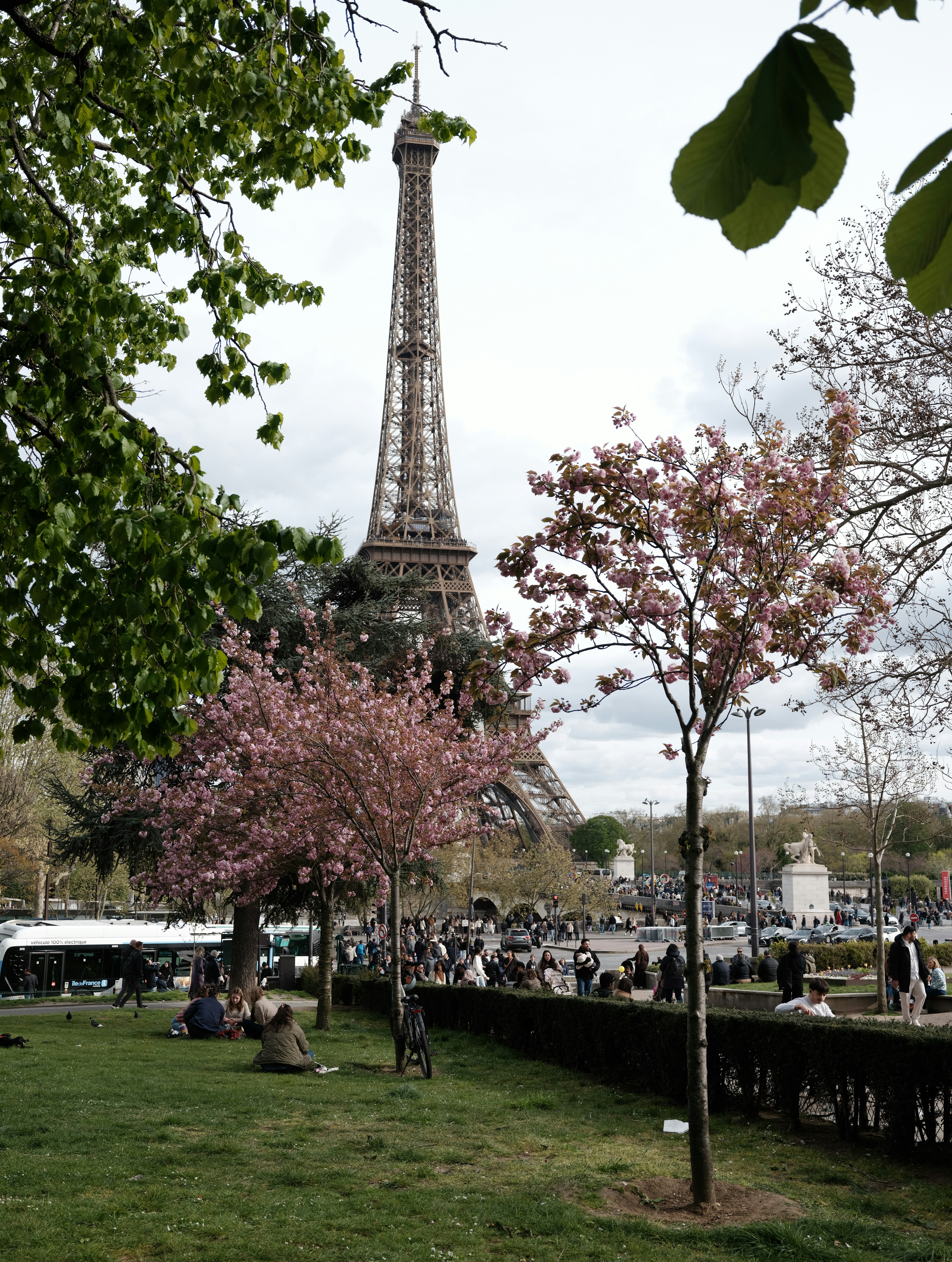 Cherry trees and park visitors frame the Eiffel Tower against a cloudy sky; a lively riverside scene in spring, with people enjoying the foreground greens and blossoms.