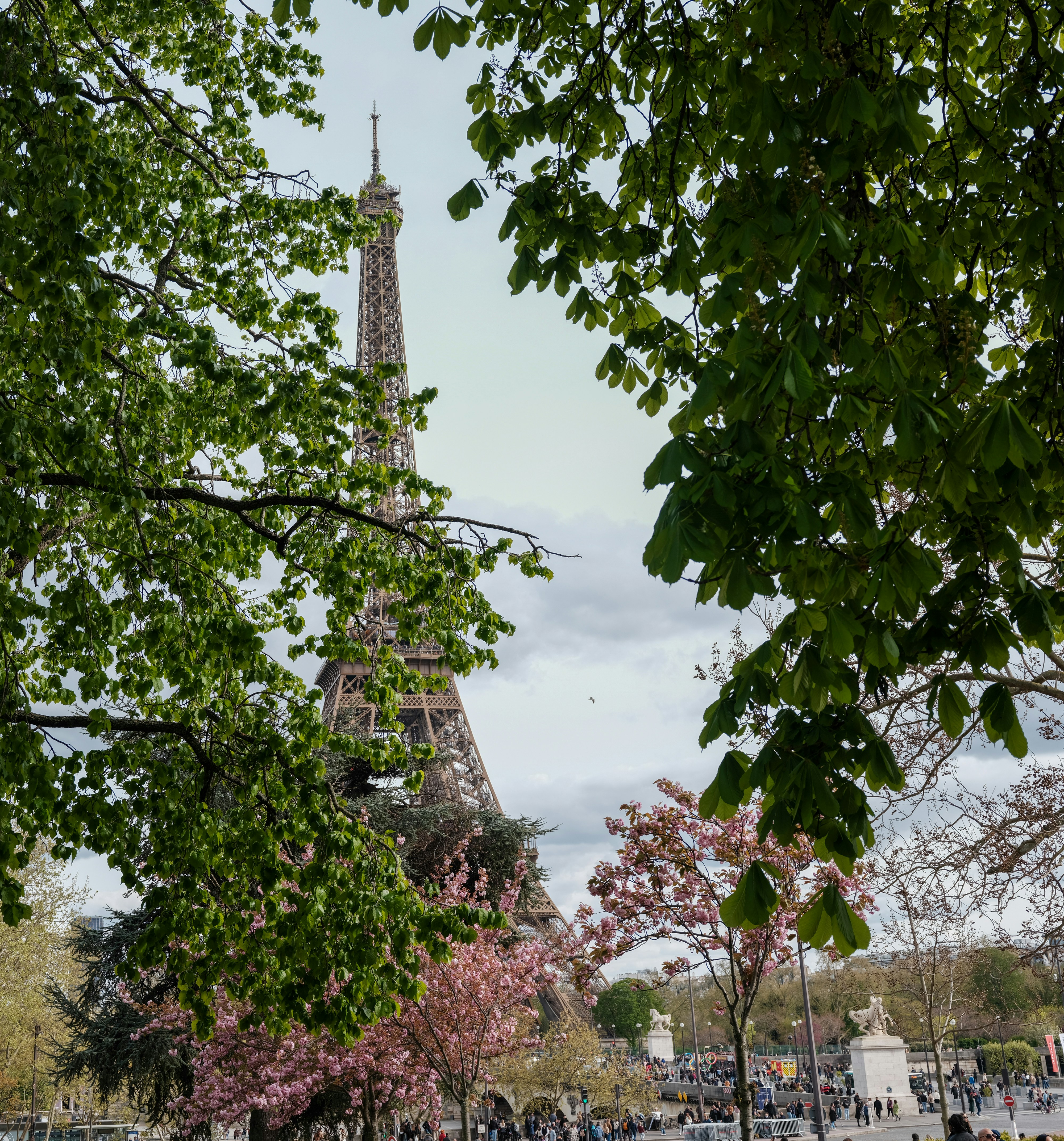 Parisian Garden Framed by Leaves and the Eiffel Tower