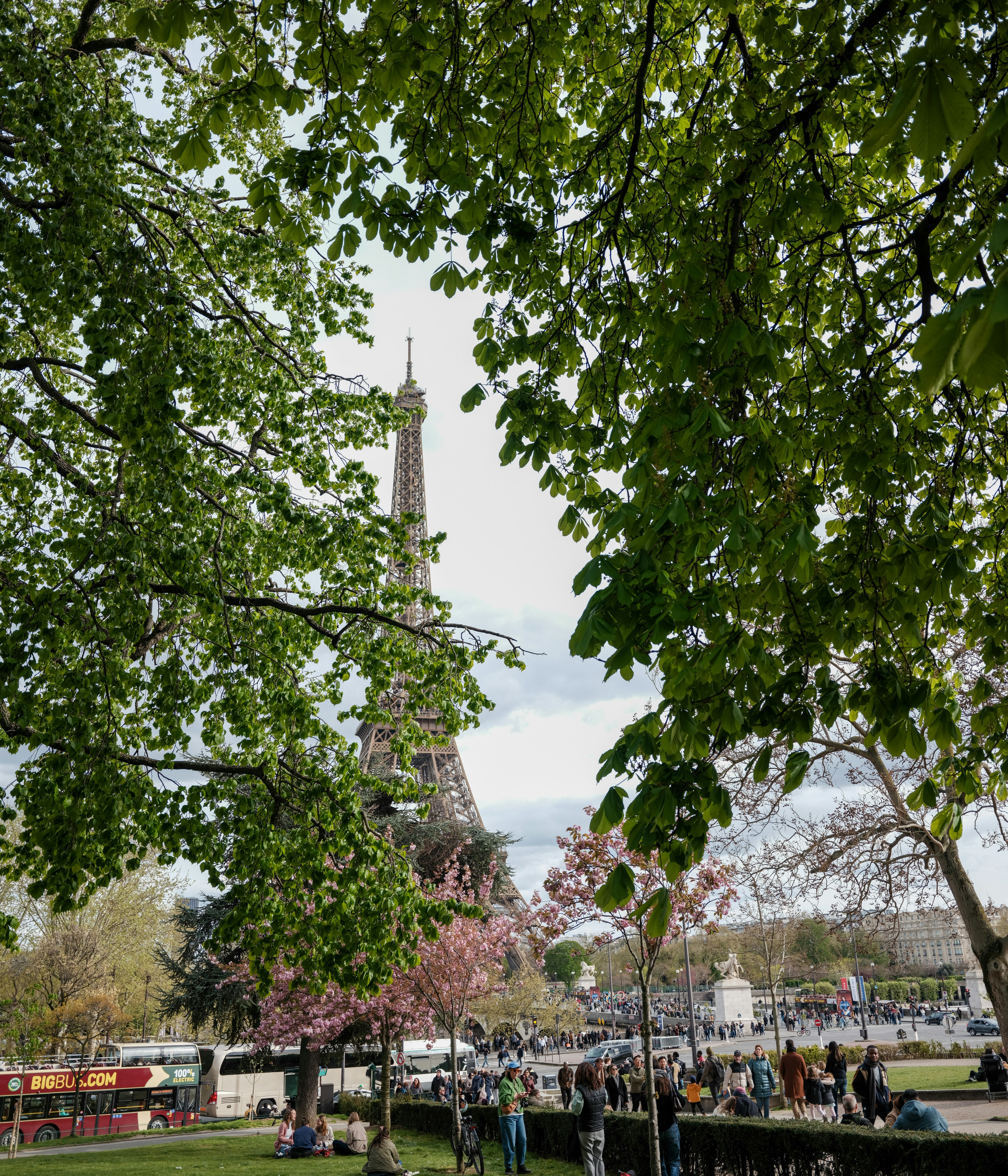 Emerald Canopy Overlooked by the Eiffel Tower