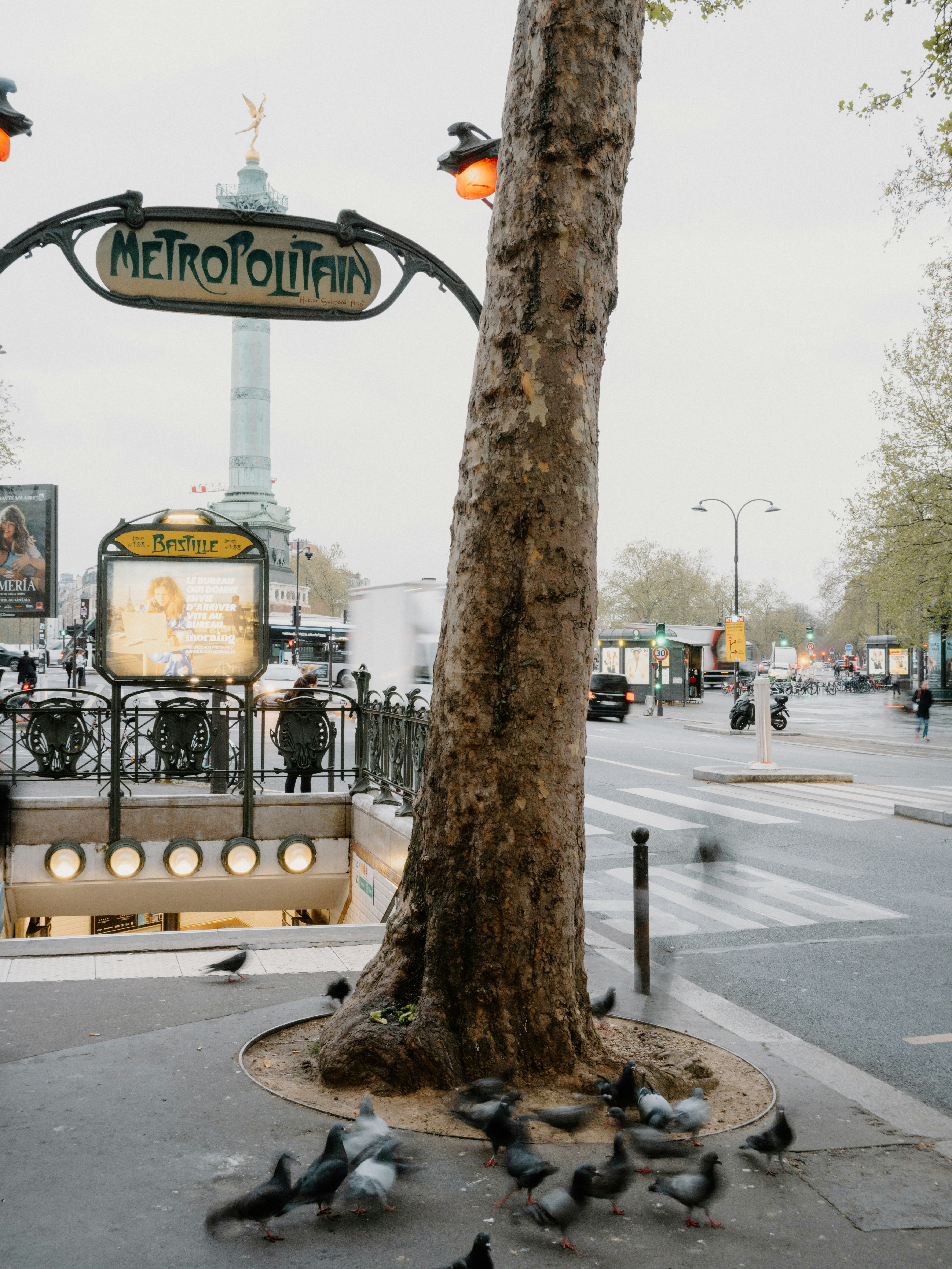 Urban Orchard: Tree Trunk Framing the Metro Entrance