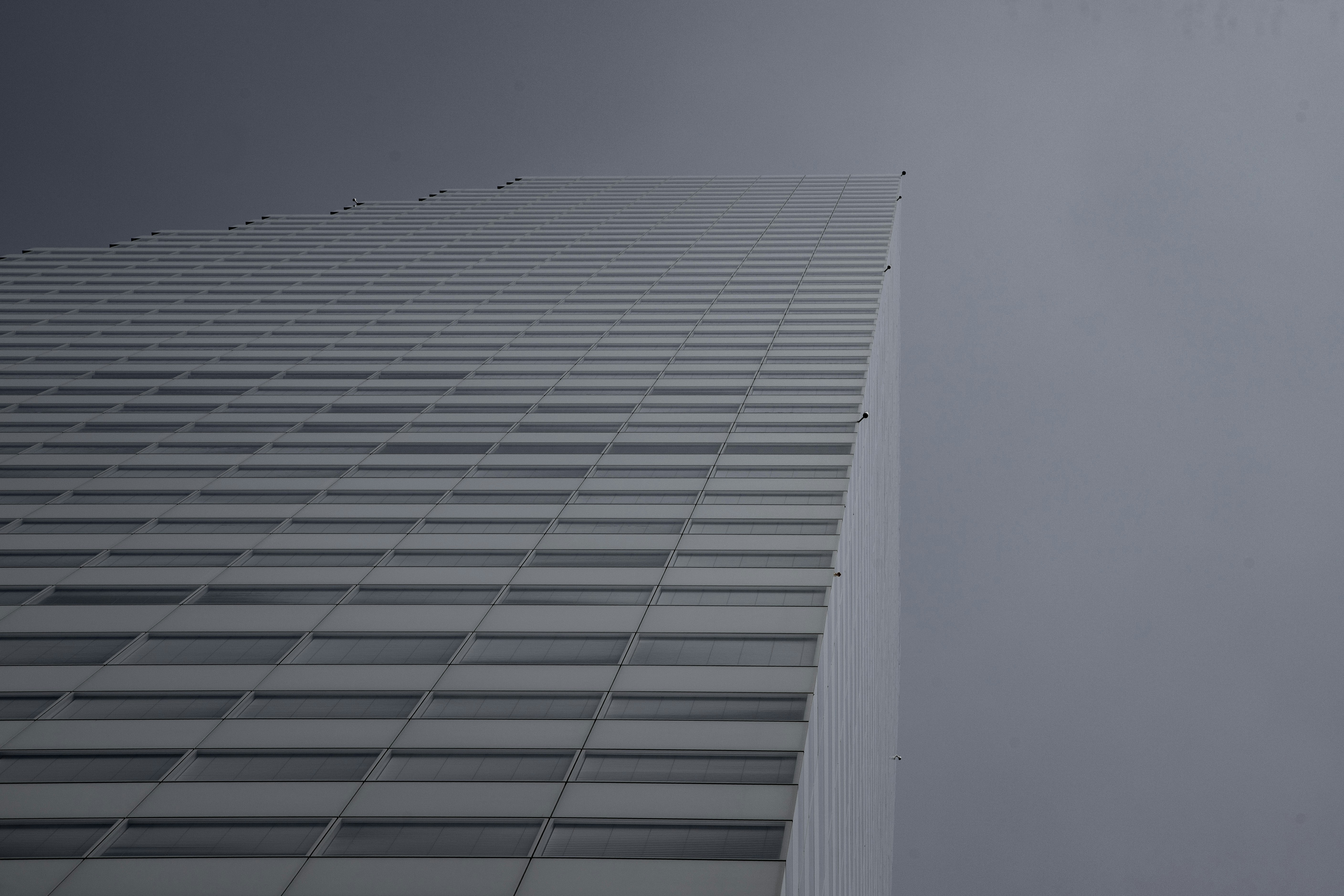 Edge of the Sky: A Monolithic Facade Reaches Toward Gray