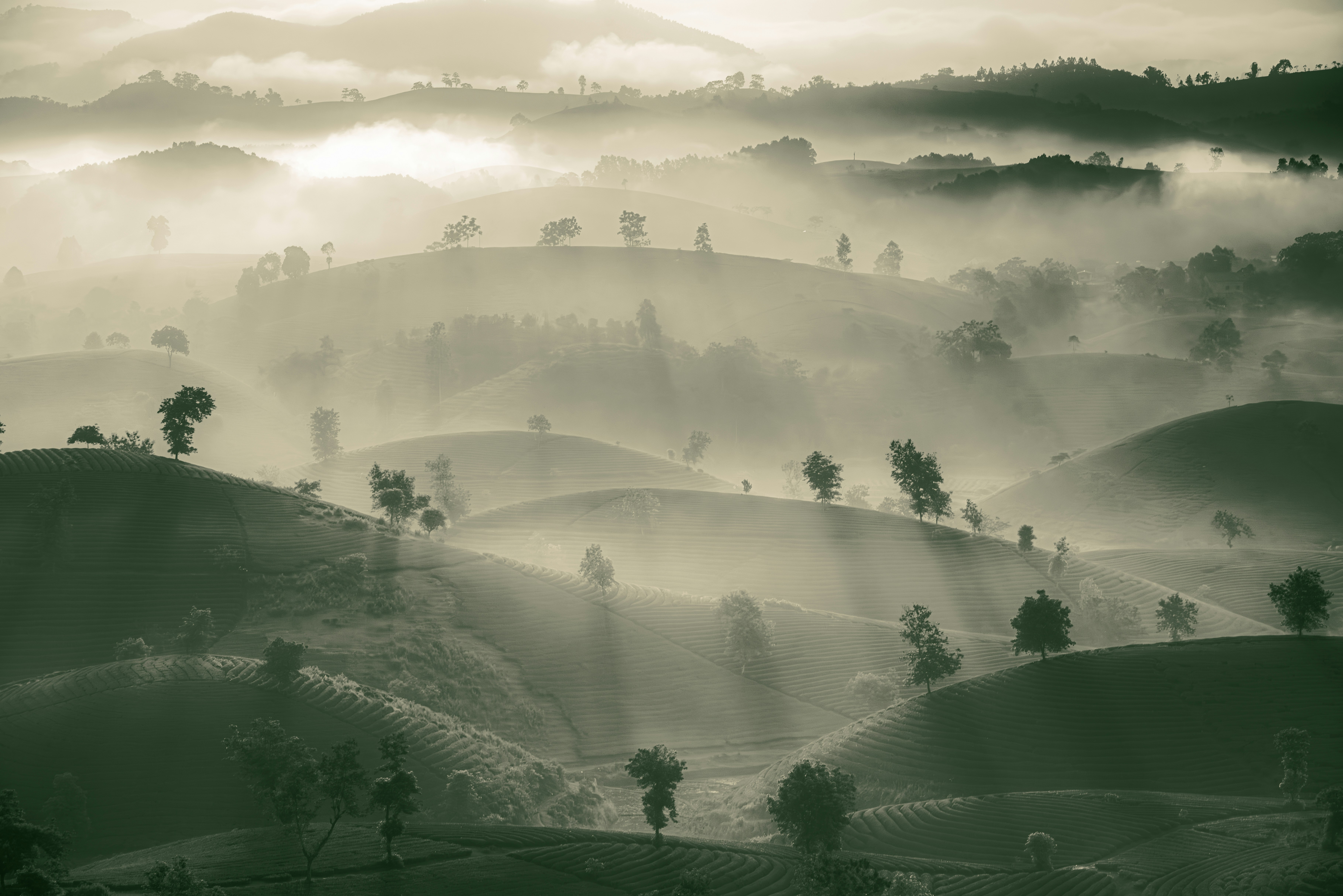 Mist over Terraced Hills: Dawn Quiet in Green Veil