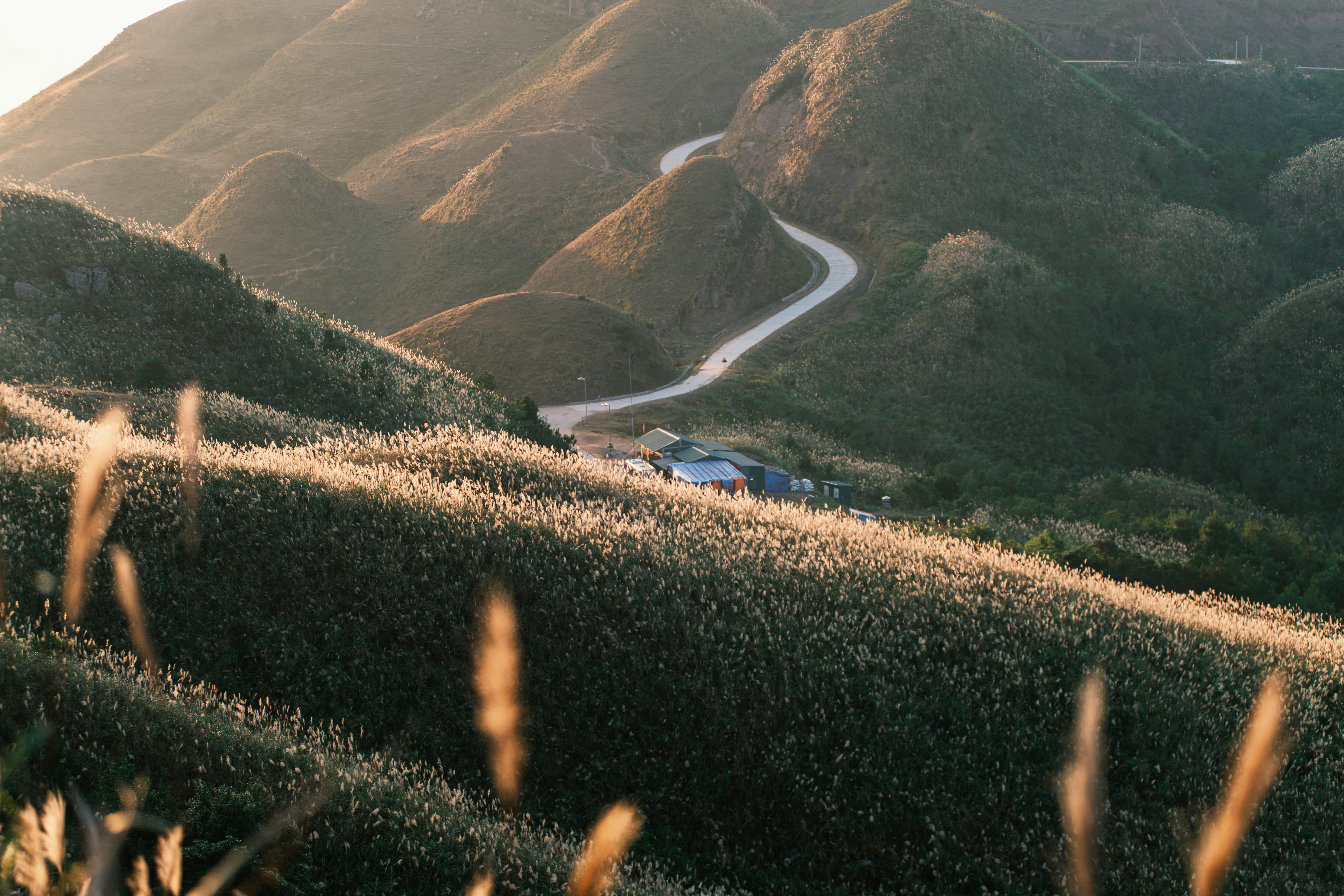 Winding Path Through Sunlit Hills