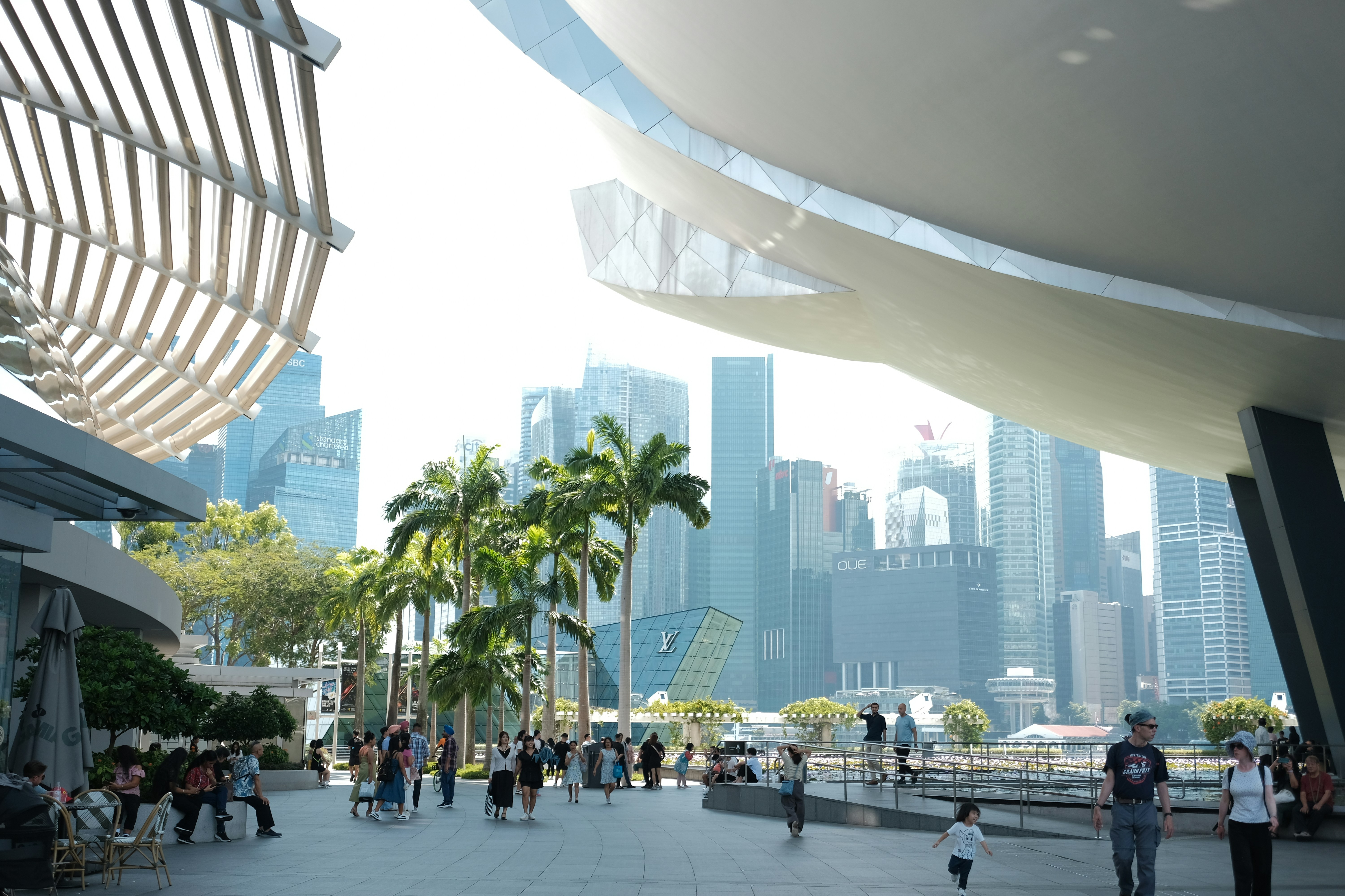 Urban Courtyard under the Curved Canopy