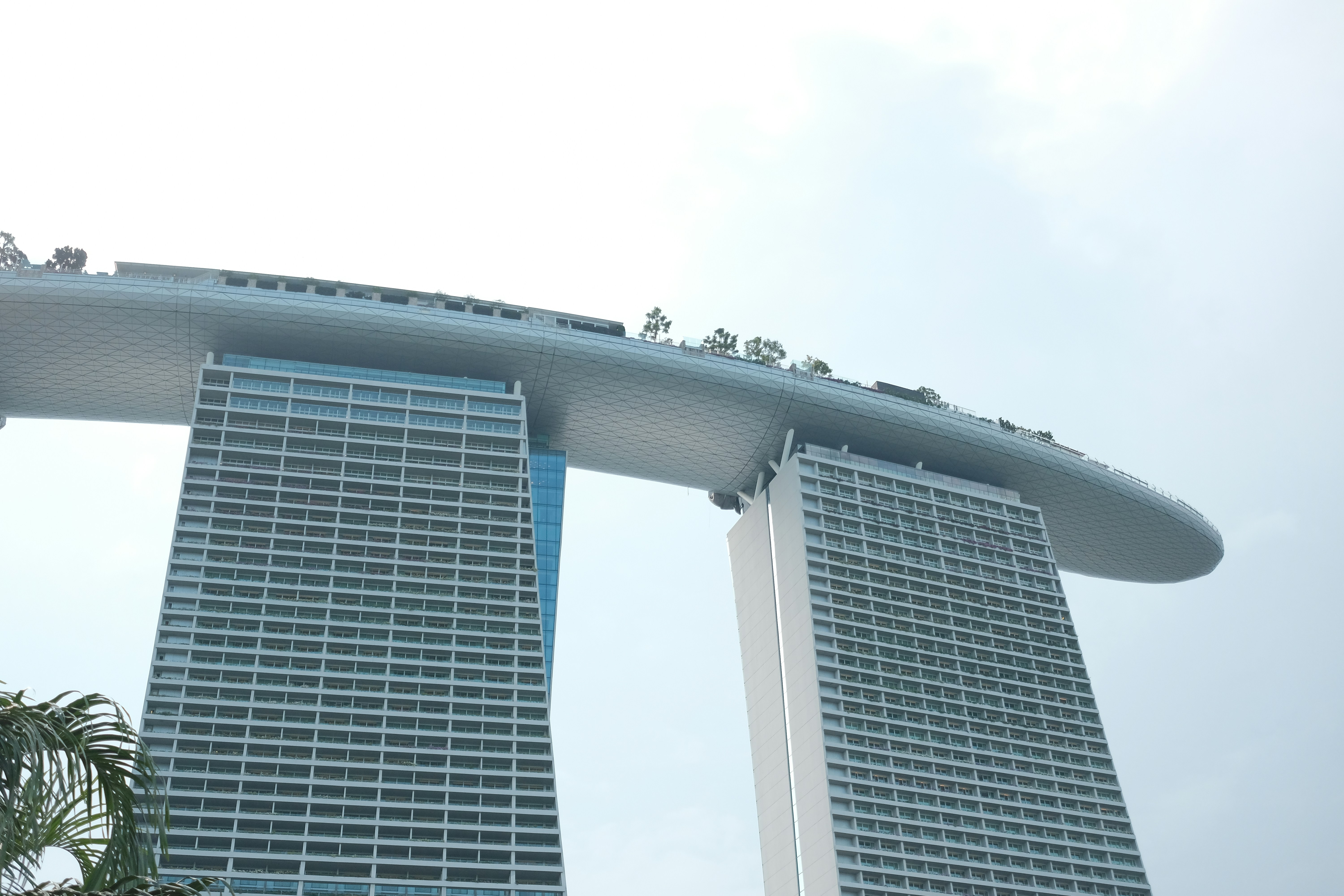 Sky-Top Silhouette: The Marina Bridge of Glass