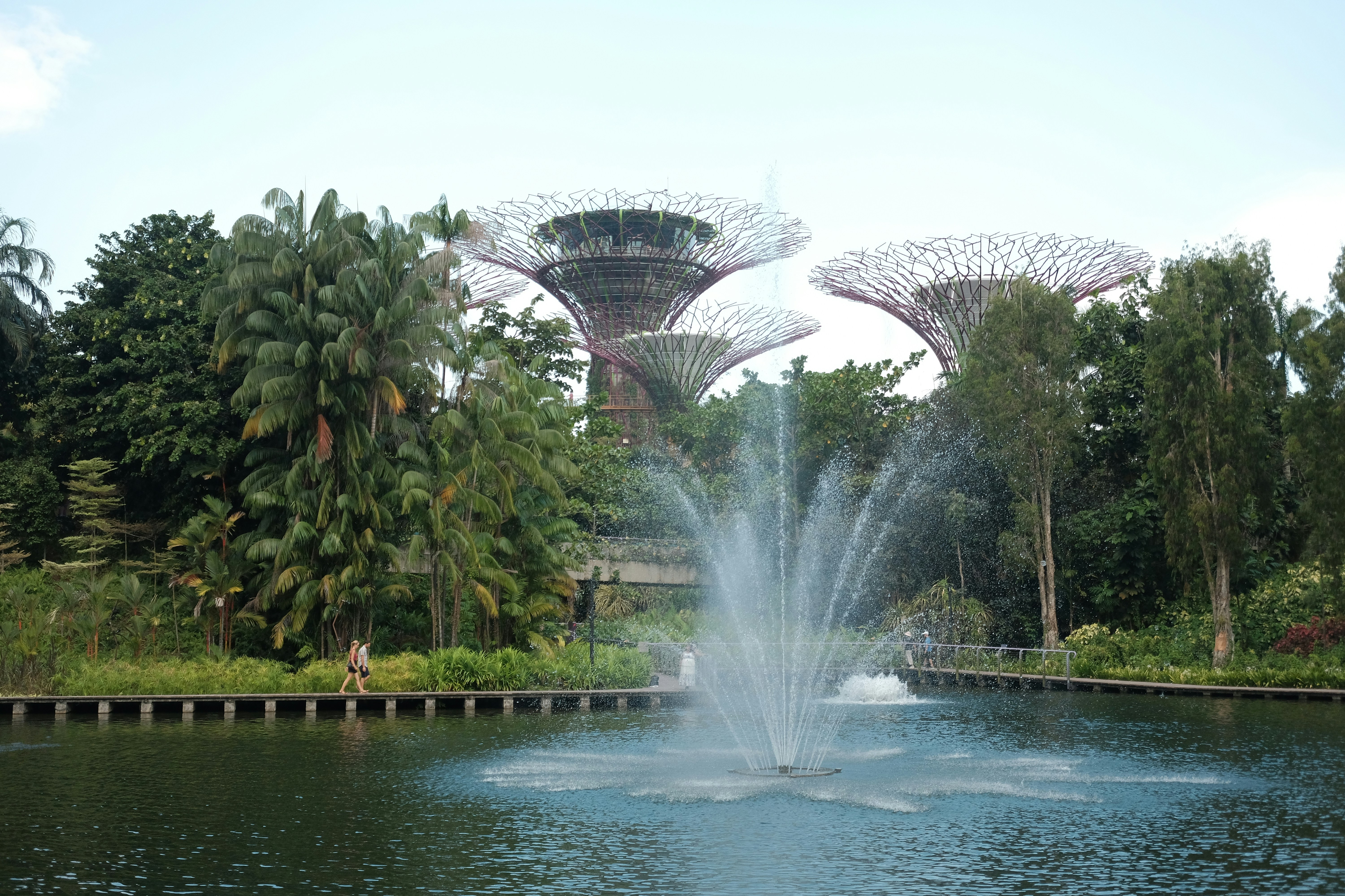 Glistening Fountain Arc: a Lagoon Backdrop with Supertree Silhouettes