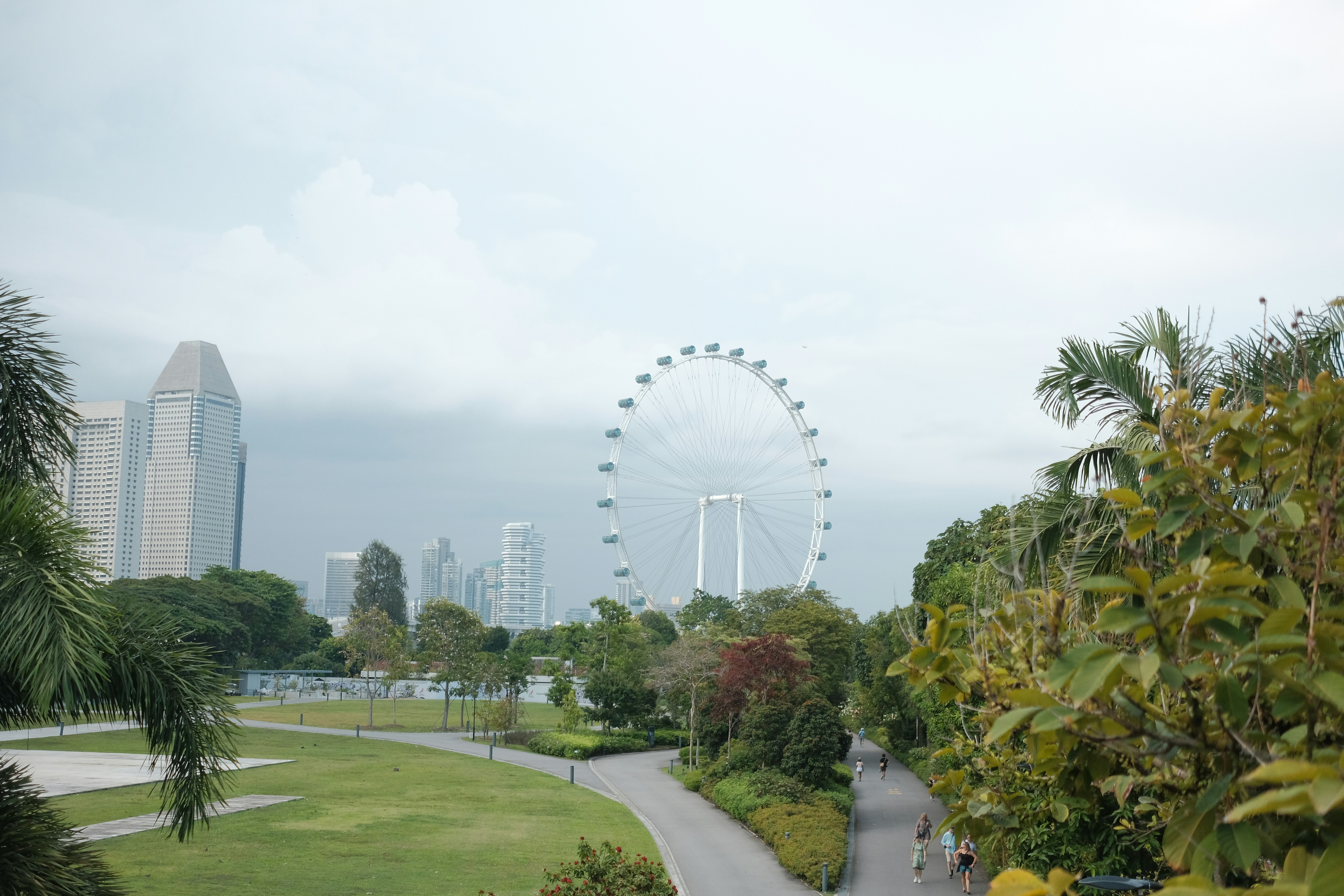 Wide-angle view of a lush urban park leading to a distant skyline and the Singapore Flyer; foreground shows winding paths and greenery, background features a ferris wheel and city buildings.