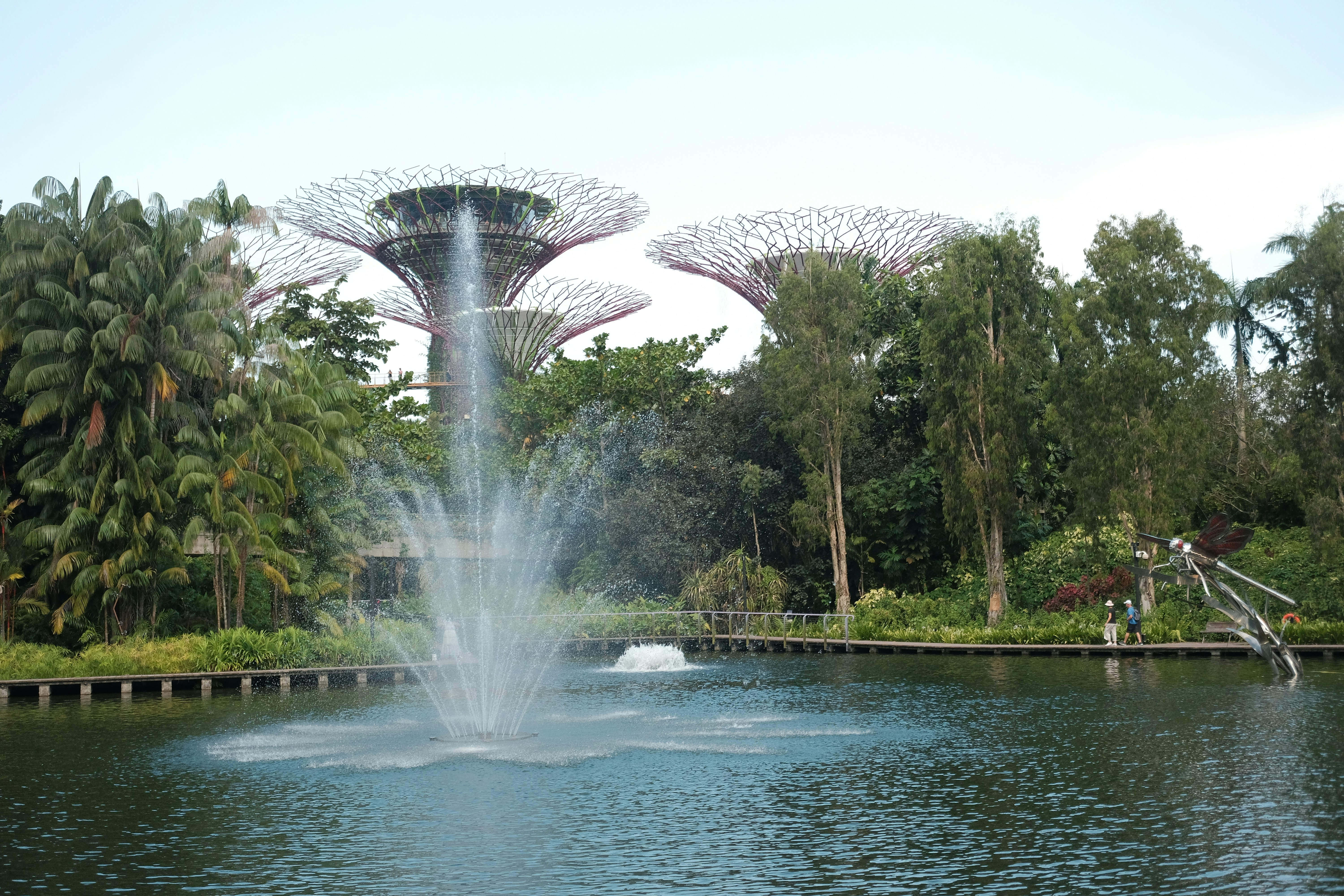 Symphonic fountain arc: centerpiece of a tranquil lake