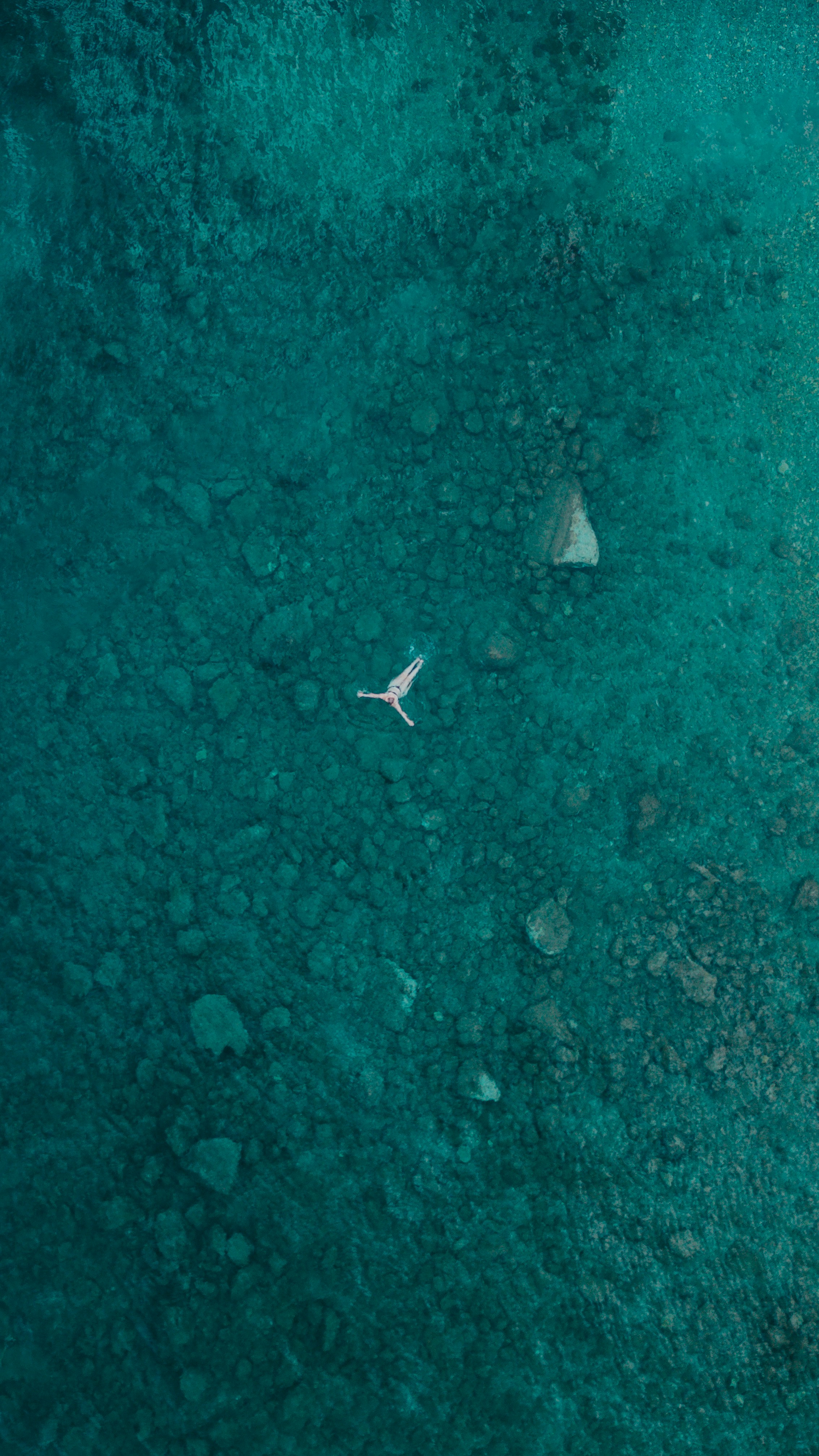Diver in Turquoise Quiet: A lone swimmer drifts over a coral seabed
