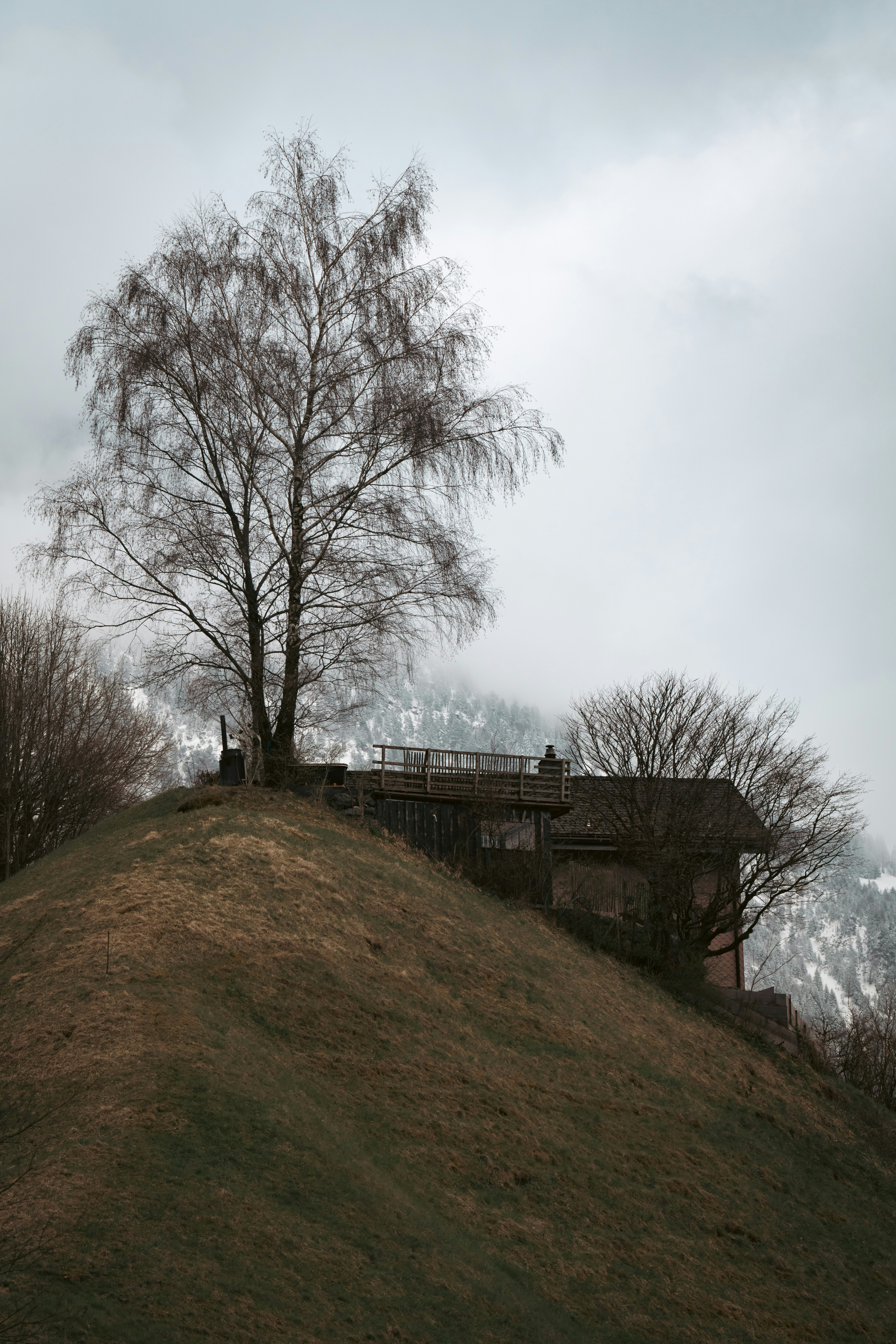 On the Hillcrest Terrace under Winter Skies
