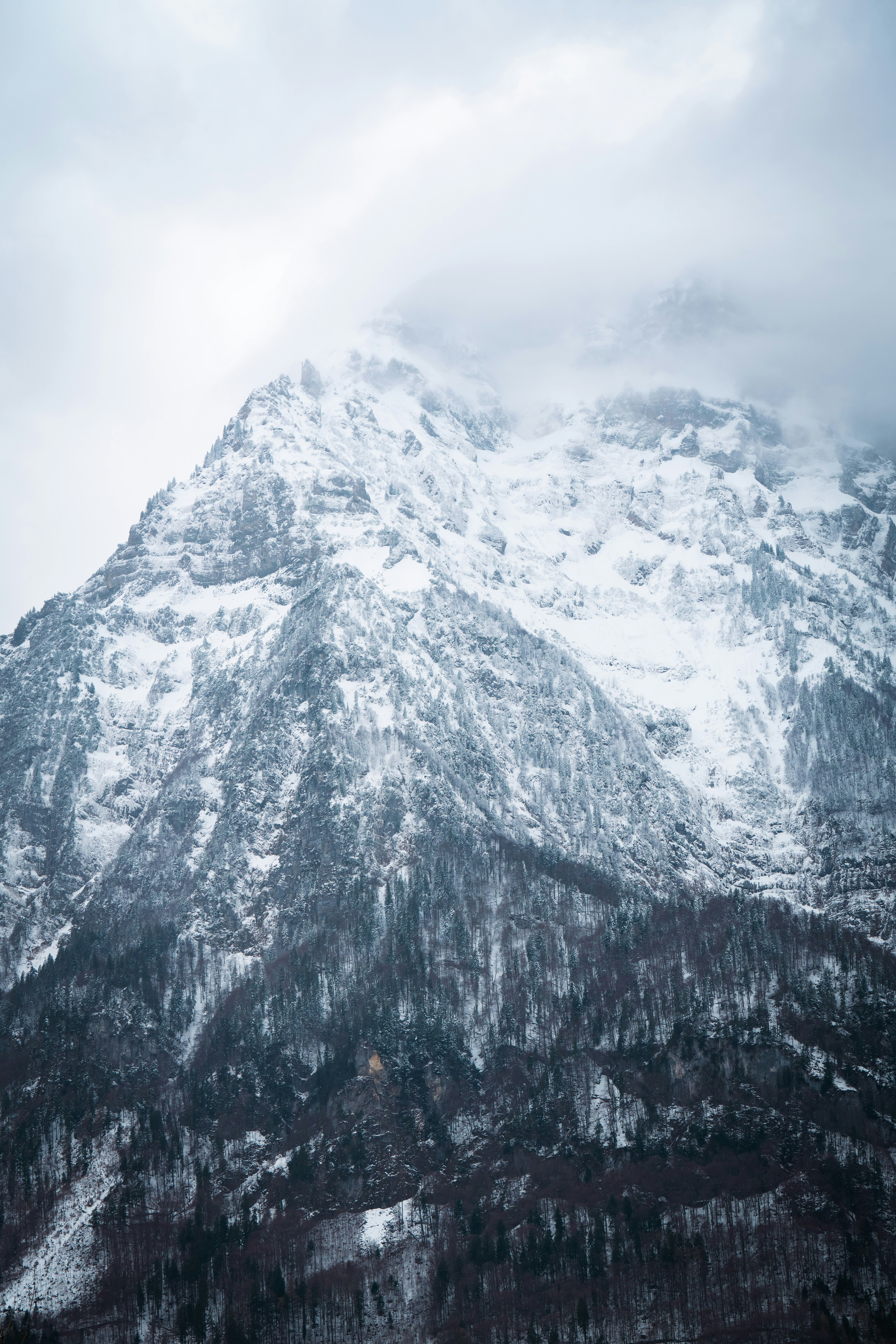 Snowbound Summit Quiet Under A Shrouded Sky