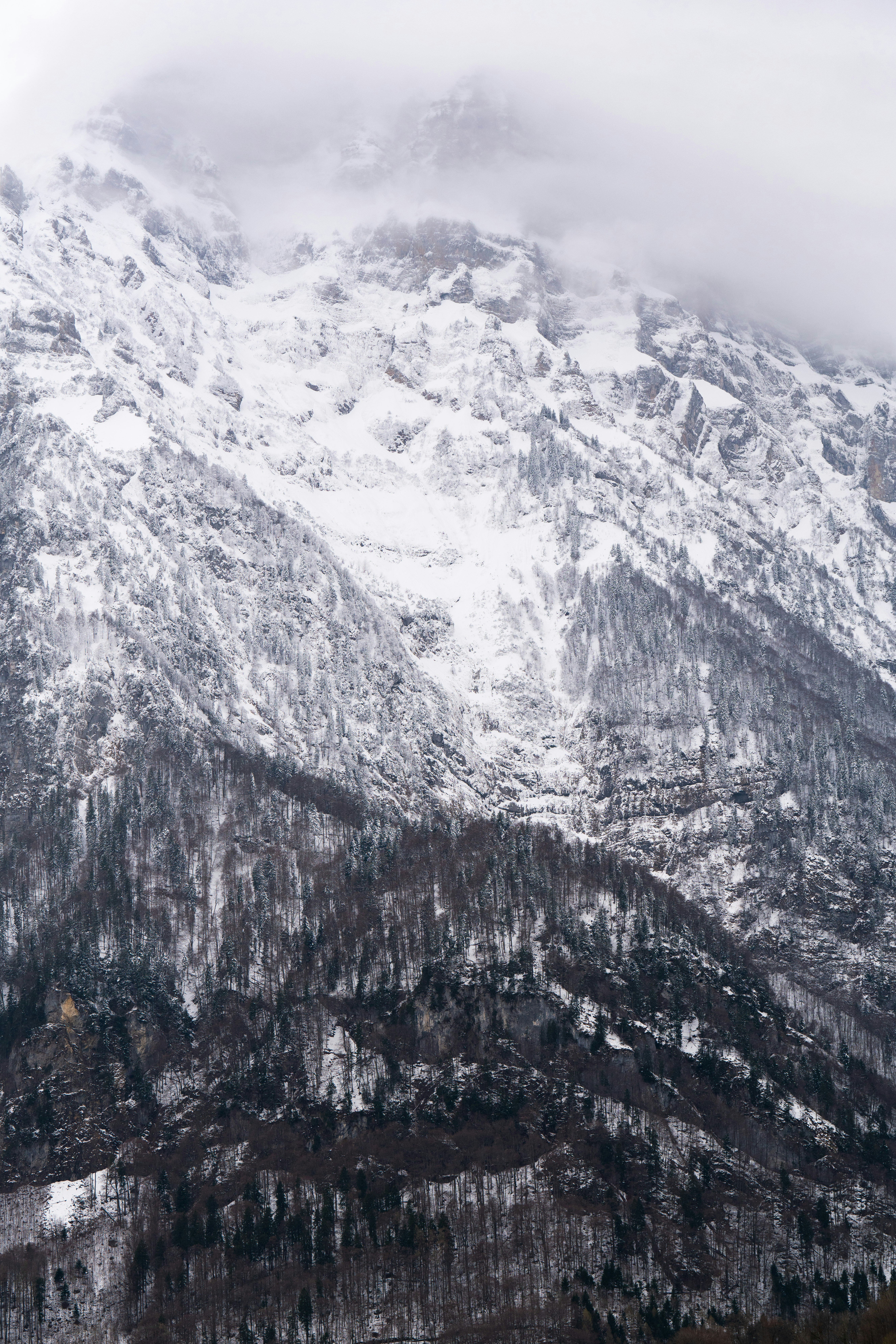 Snow-Capped Alpine Silence between Clouds