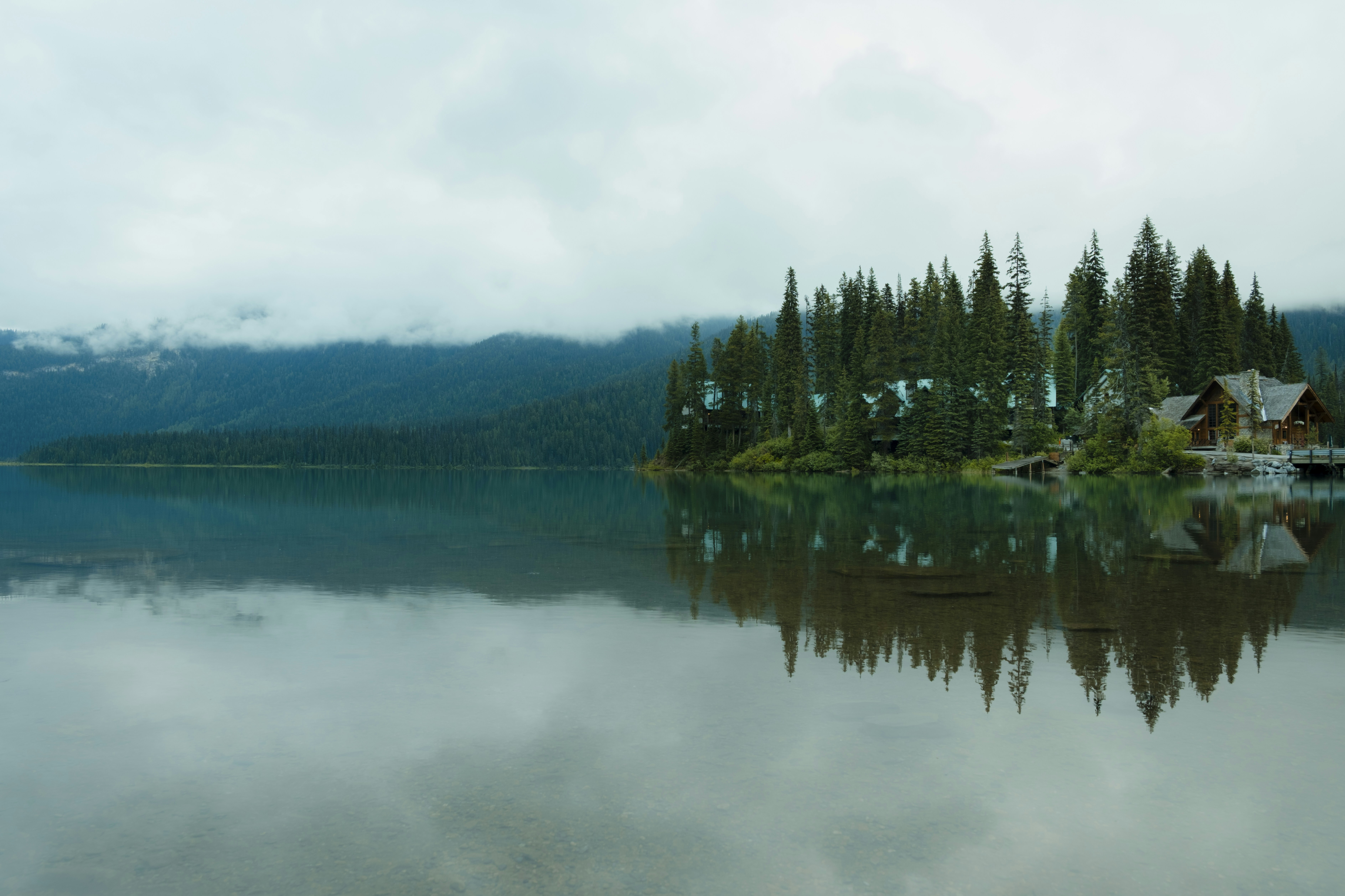 Lakeside Refuge: Pines, Cabin, and Still Water