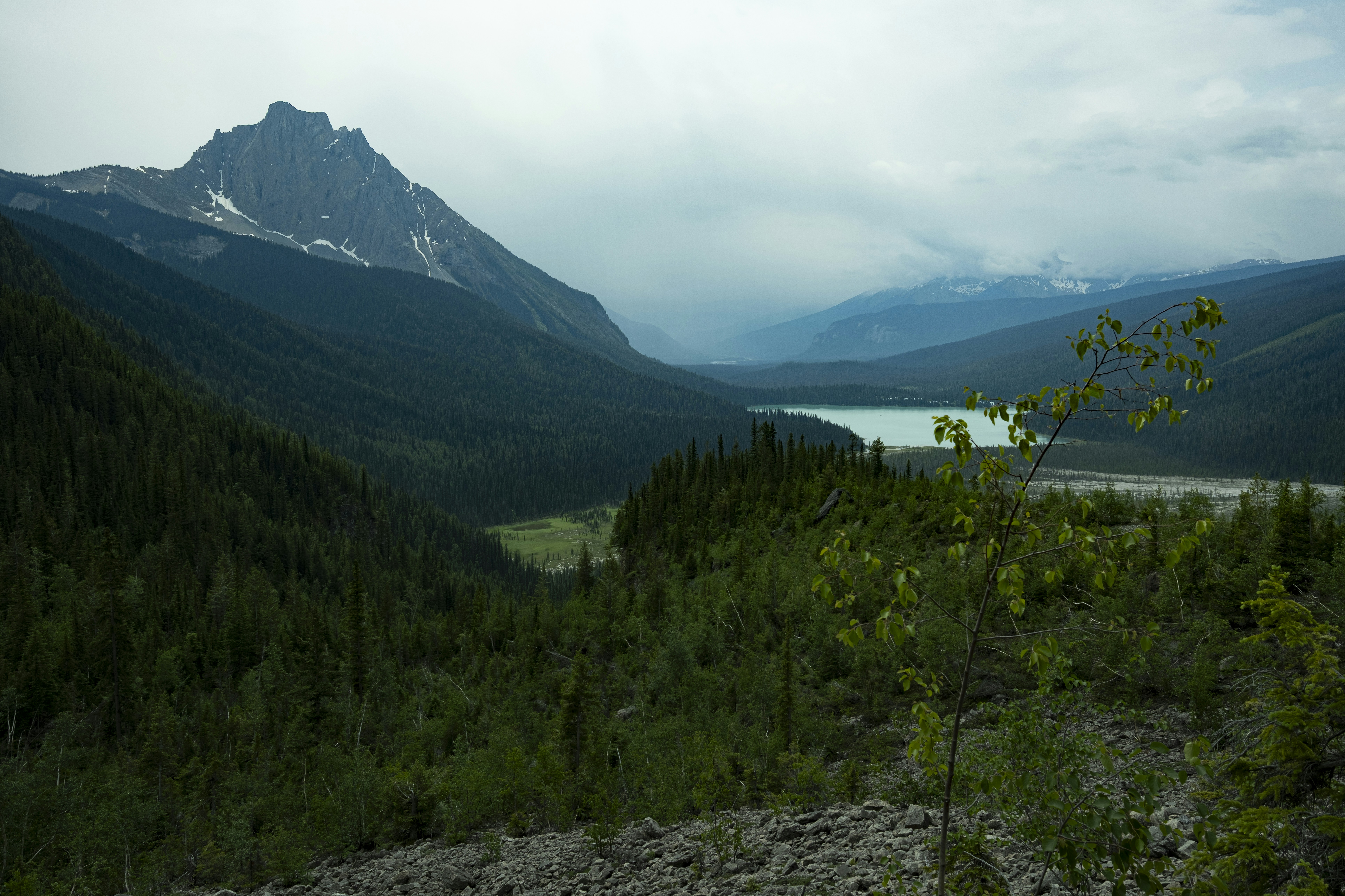 Snowy Peak Overlooking a Green Valley Lake