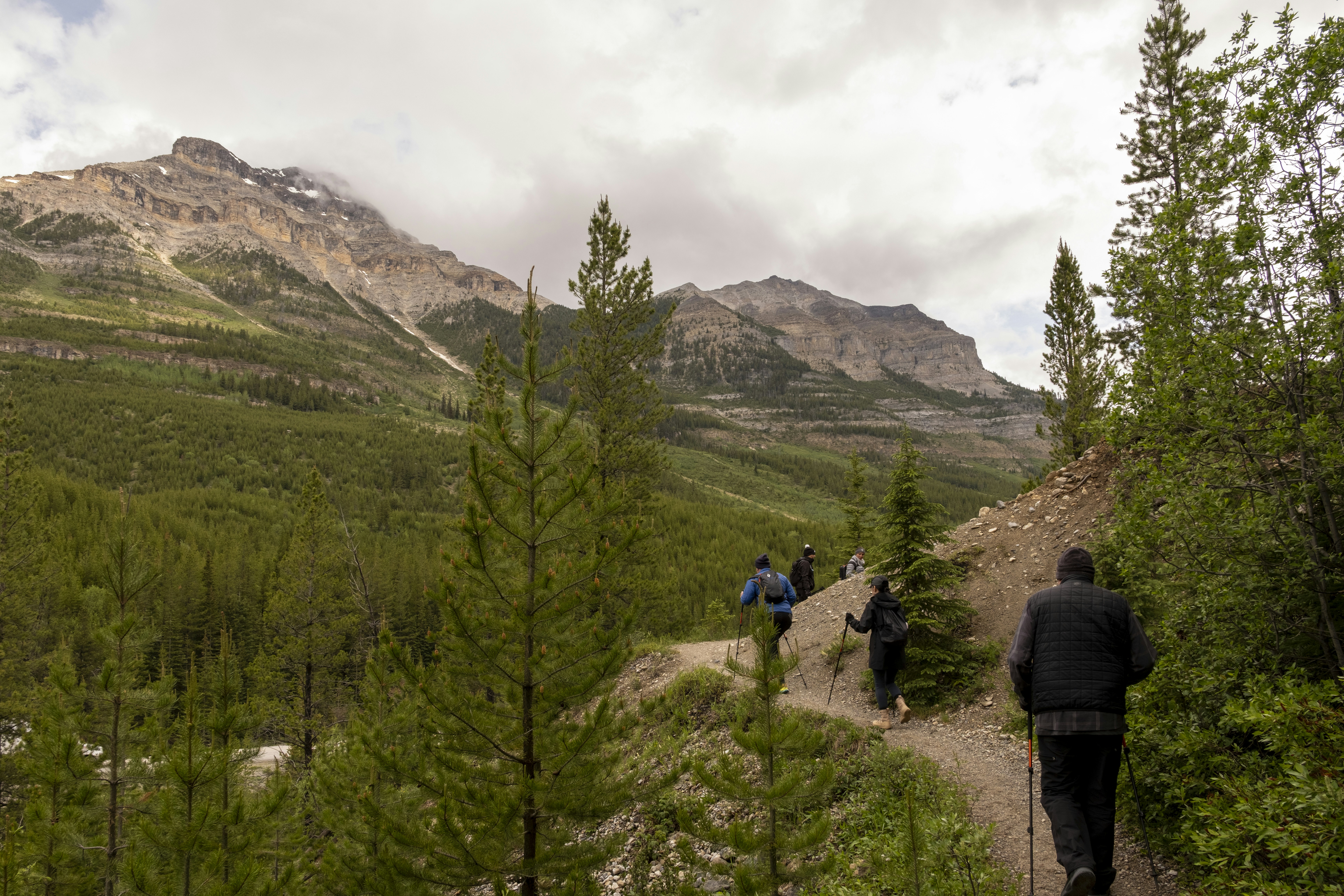 Hikers Trek Along a Mountain Trail into a Pine-Scattered Valley