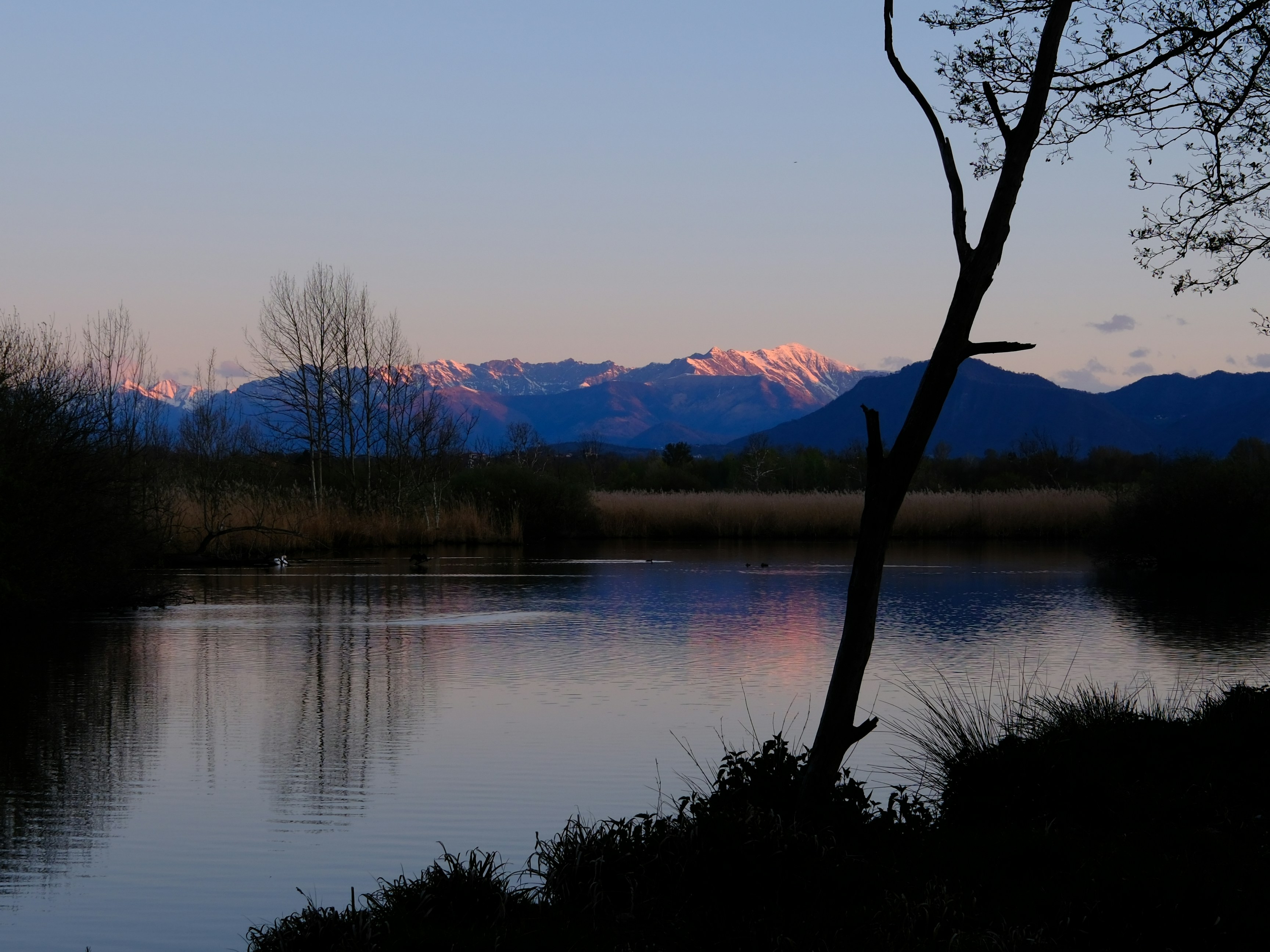 Distant Snow-Capped Peaks and Quiet Water at Twilight