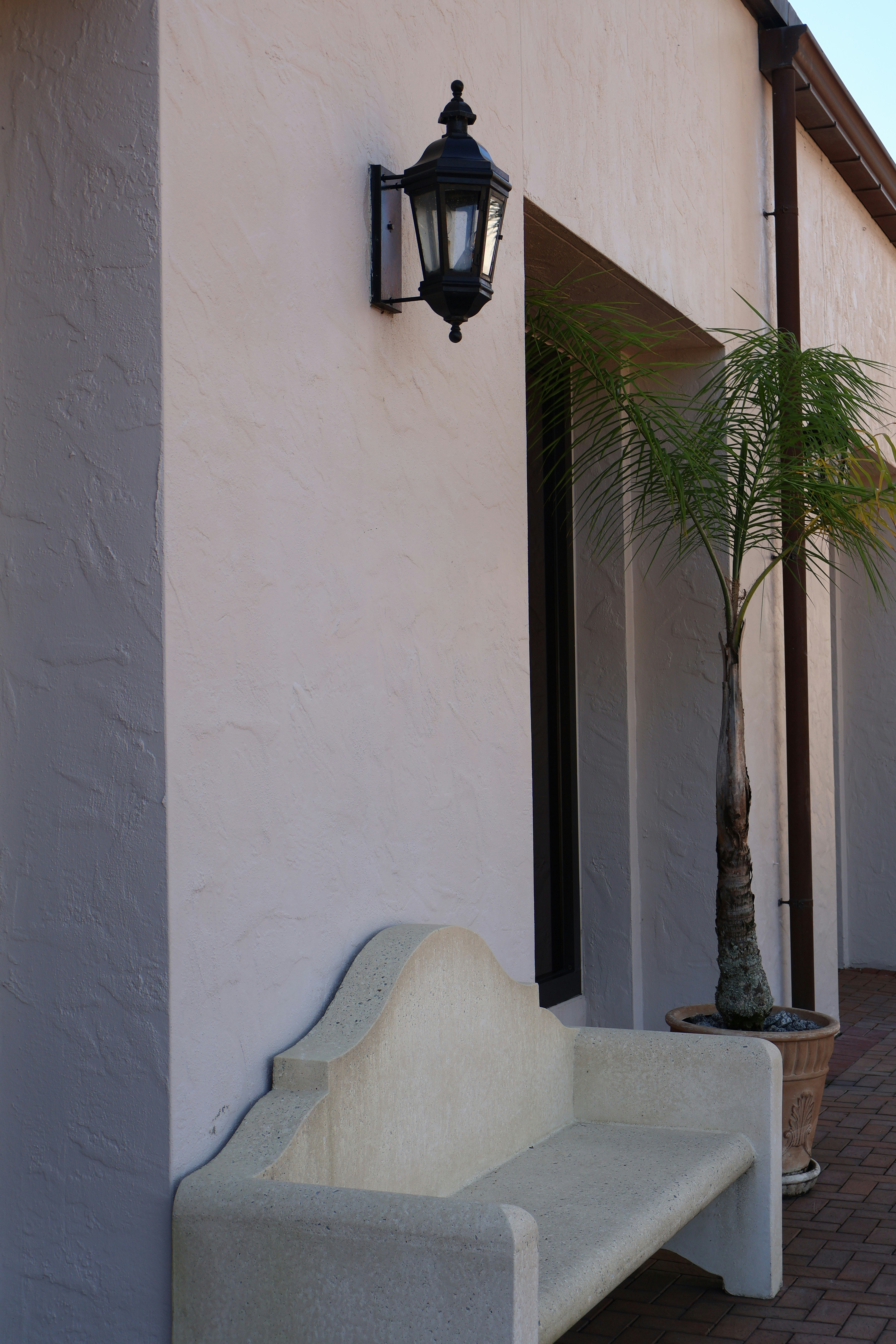 Quiet Elegance: A Corner of Shade and Stone with a Lone Palm