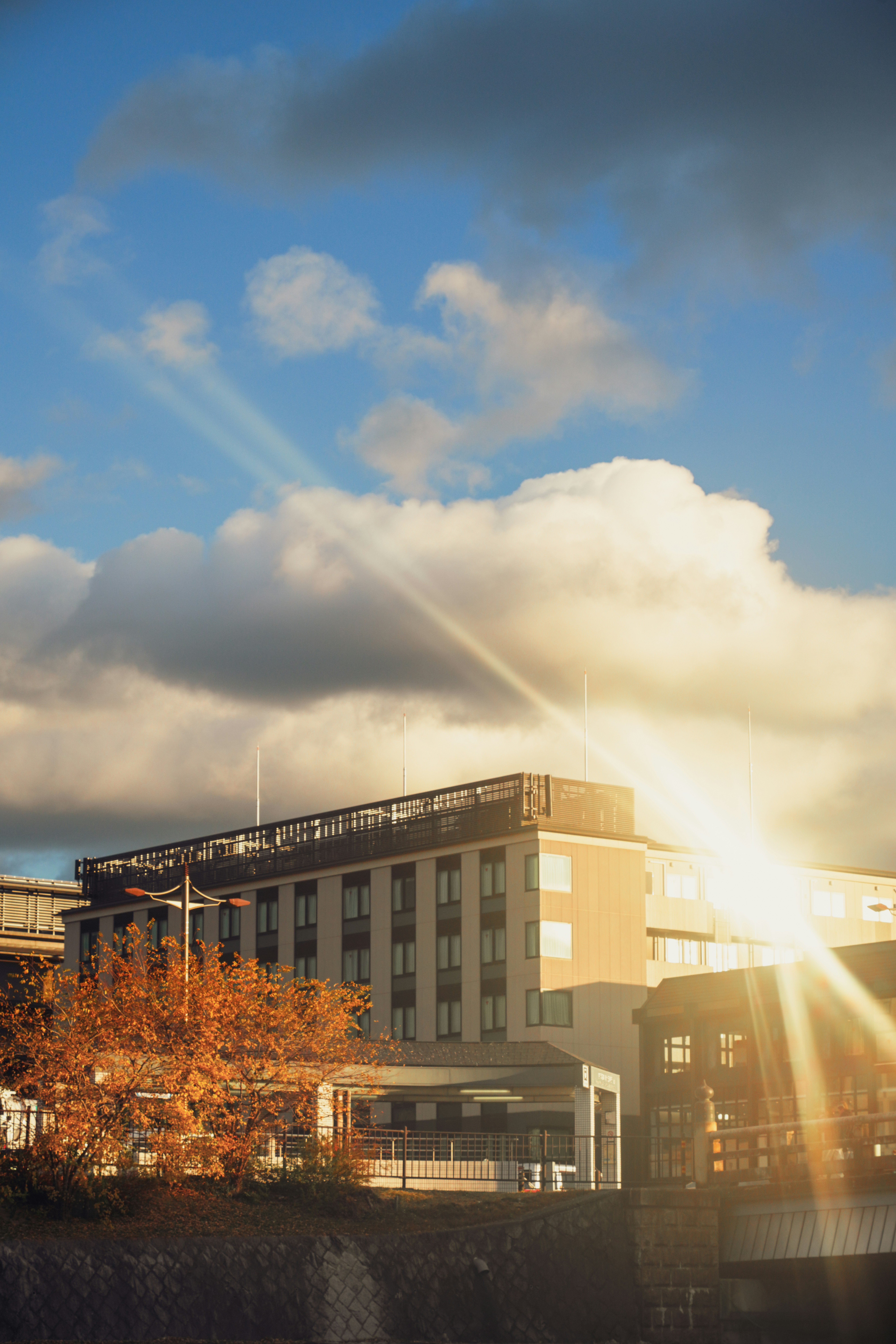 Sunlit Union: A Riverside Building Basks in Golden Peak