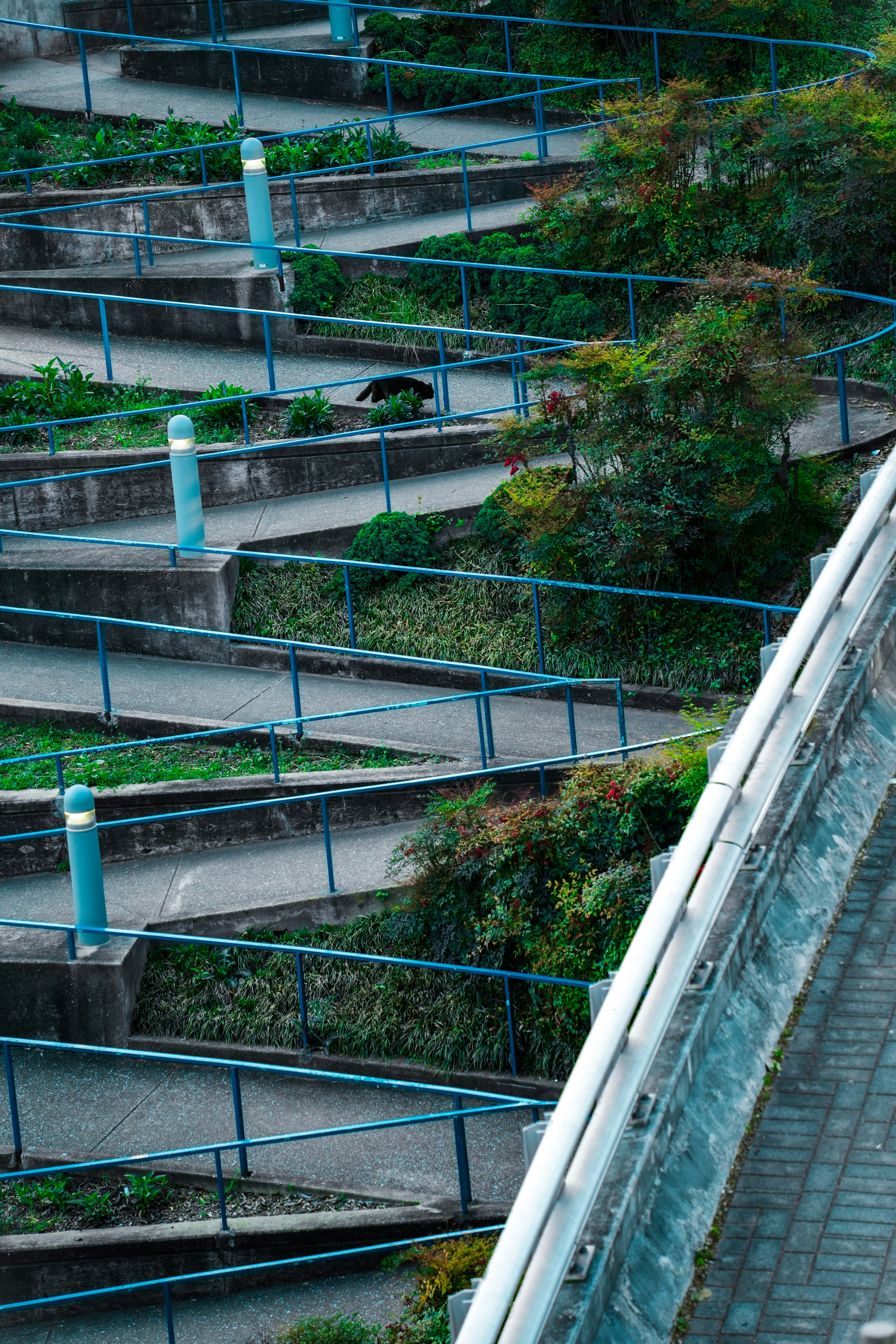 Concrete Amphitheater of Rails and Steps