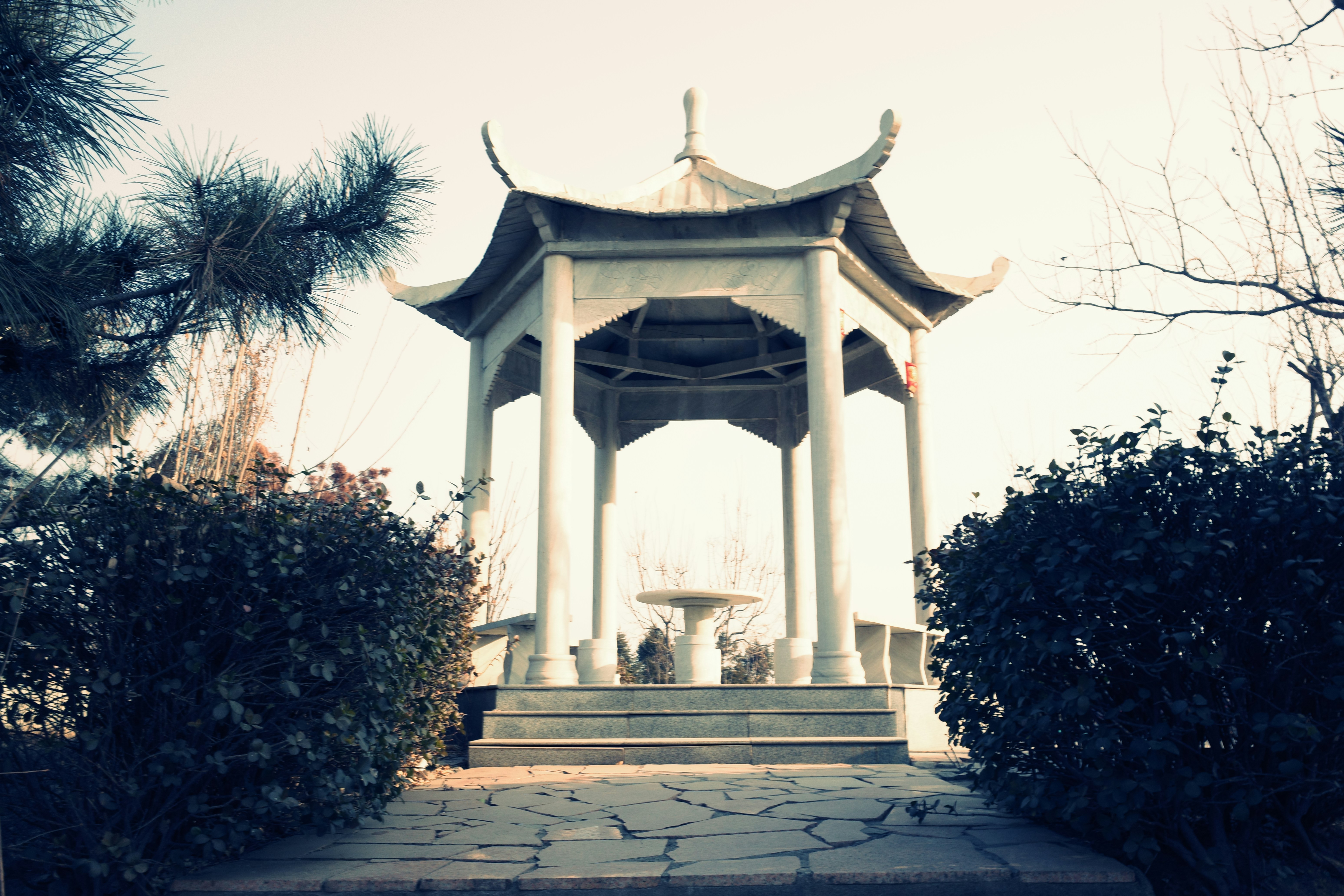 Quiet Pagoda in Dusk Garden