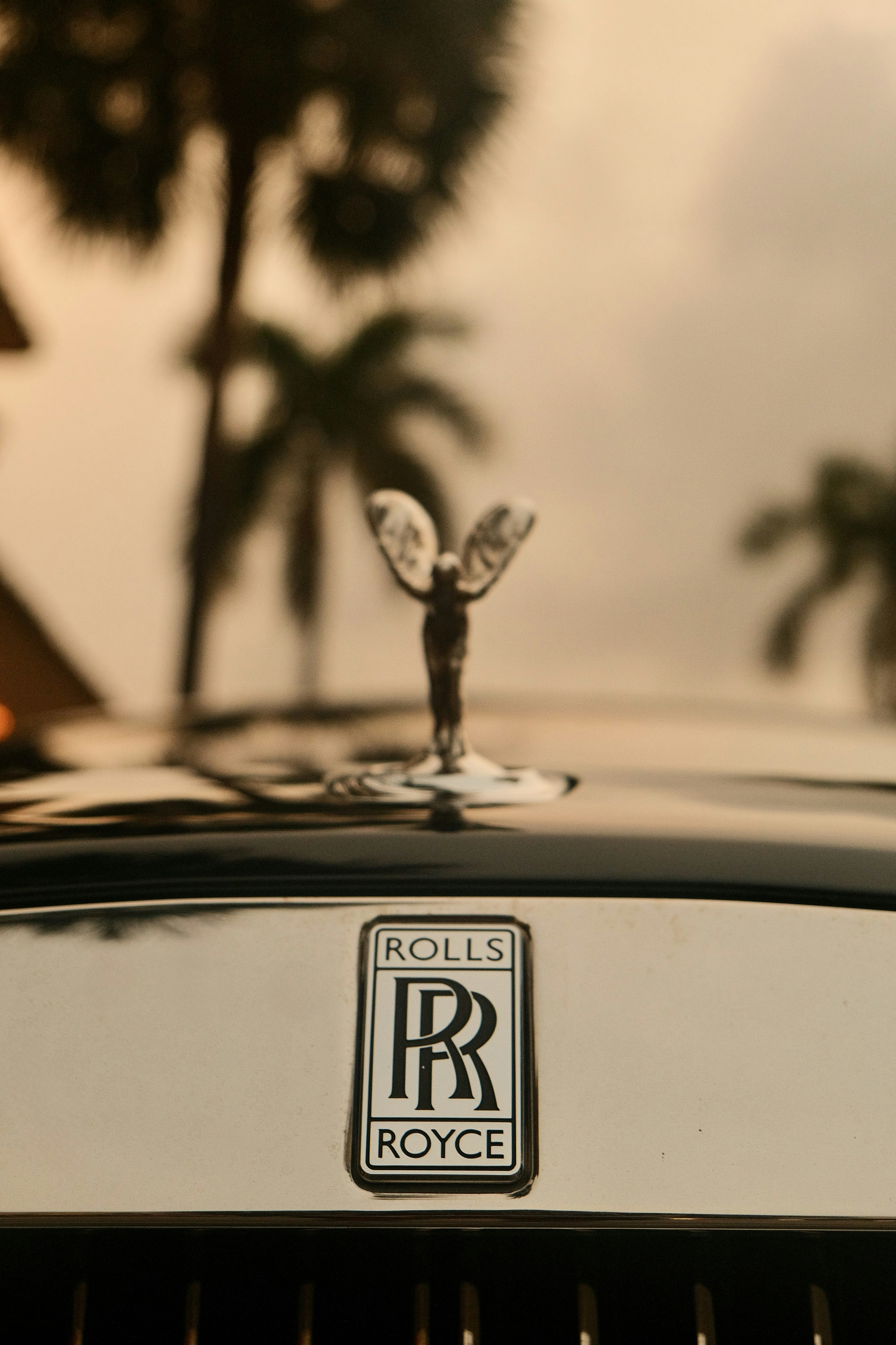 Rolls-Royce Emblem Rising Above Still Water