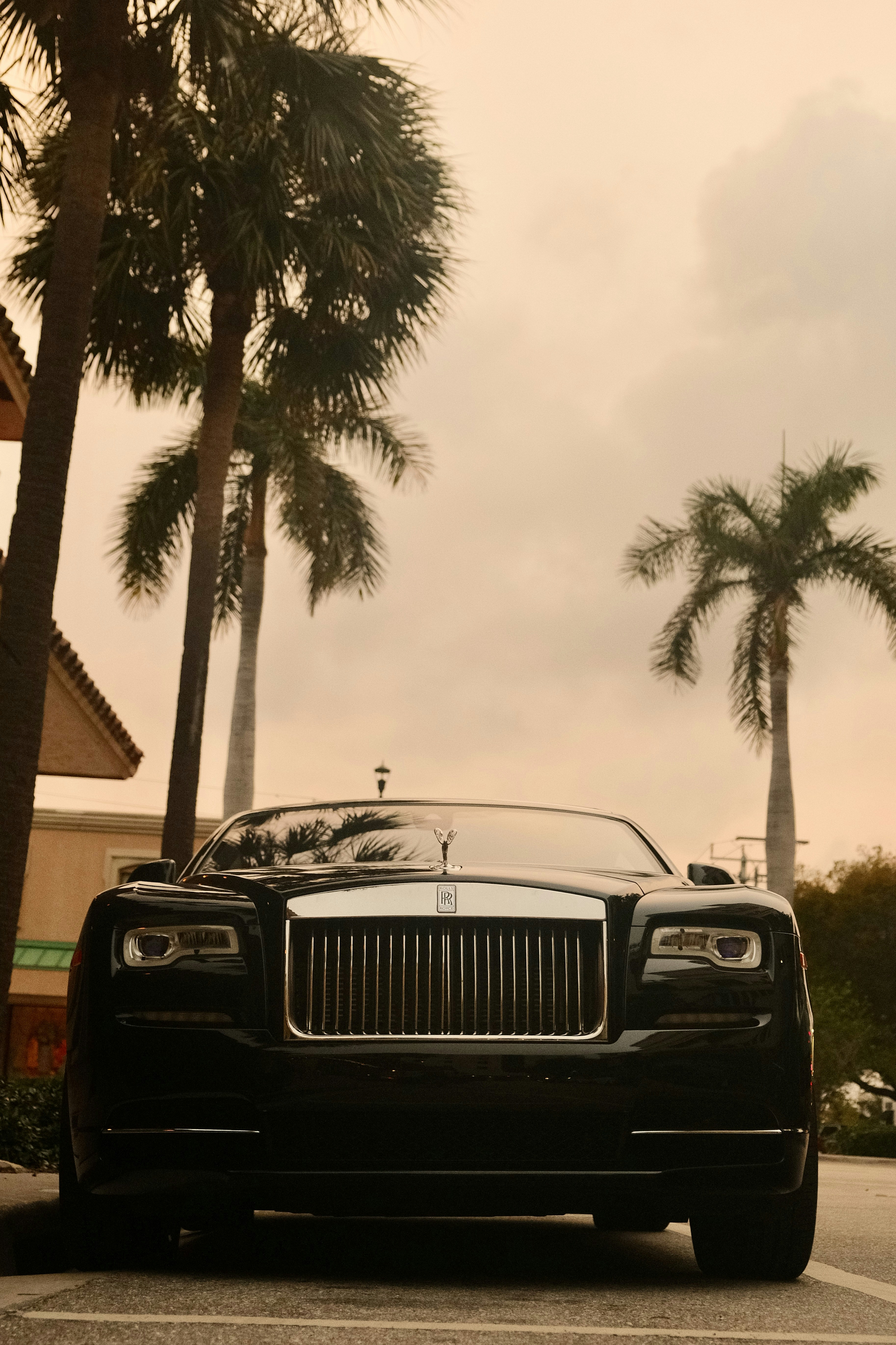 Dark Luxury at Dawn: A Rolls-Royce Emerges from Palm-Shaded Silence