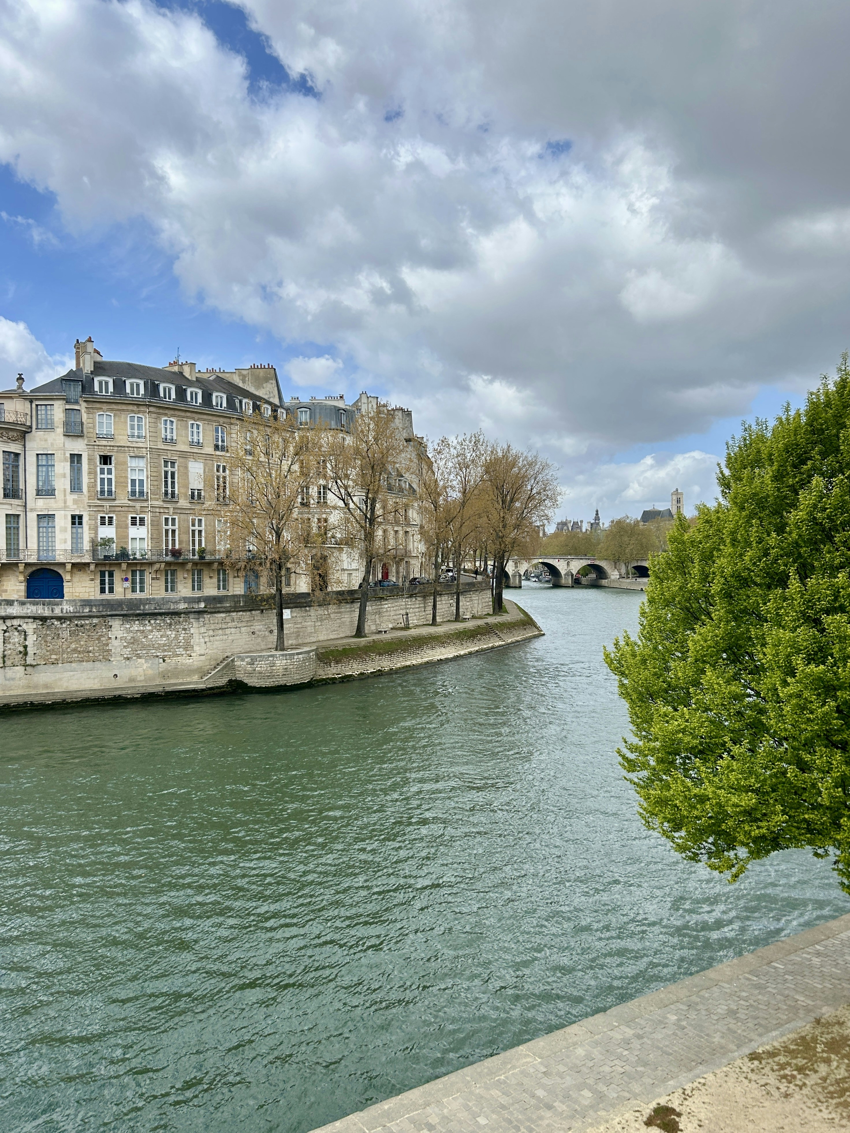 Riverside Paris: Stone Facades, Gentle Currents, and Clouded Skies