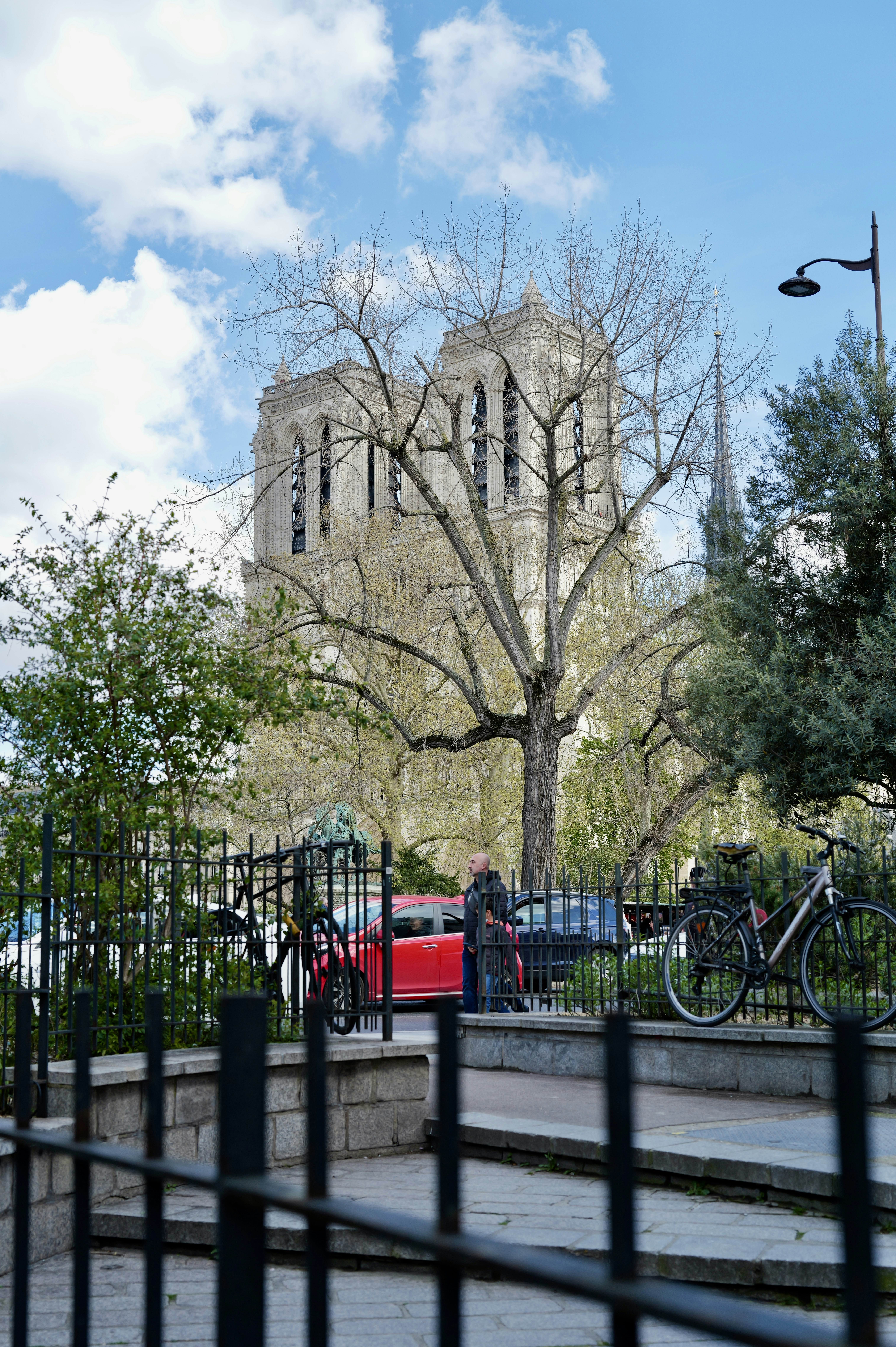 Bell Tower Reflections: Urban Moment Beneath a Bare Tree